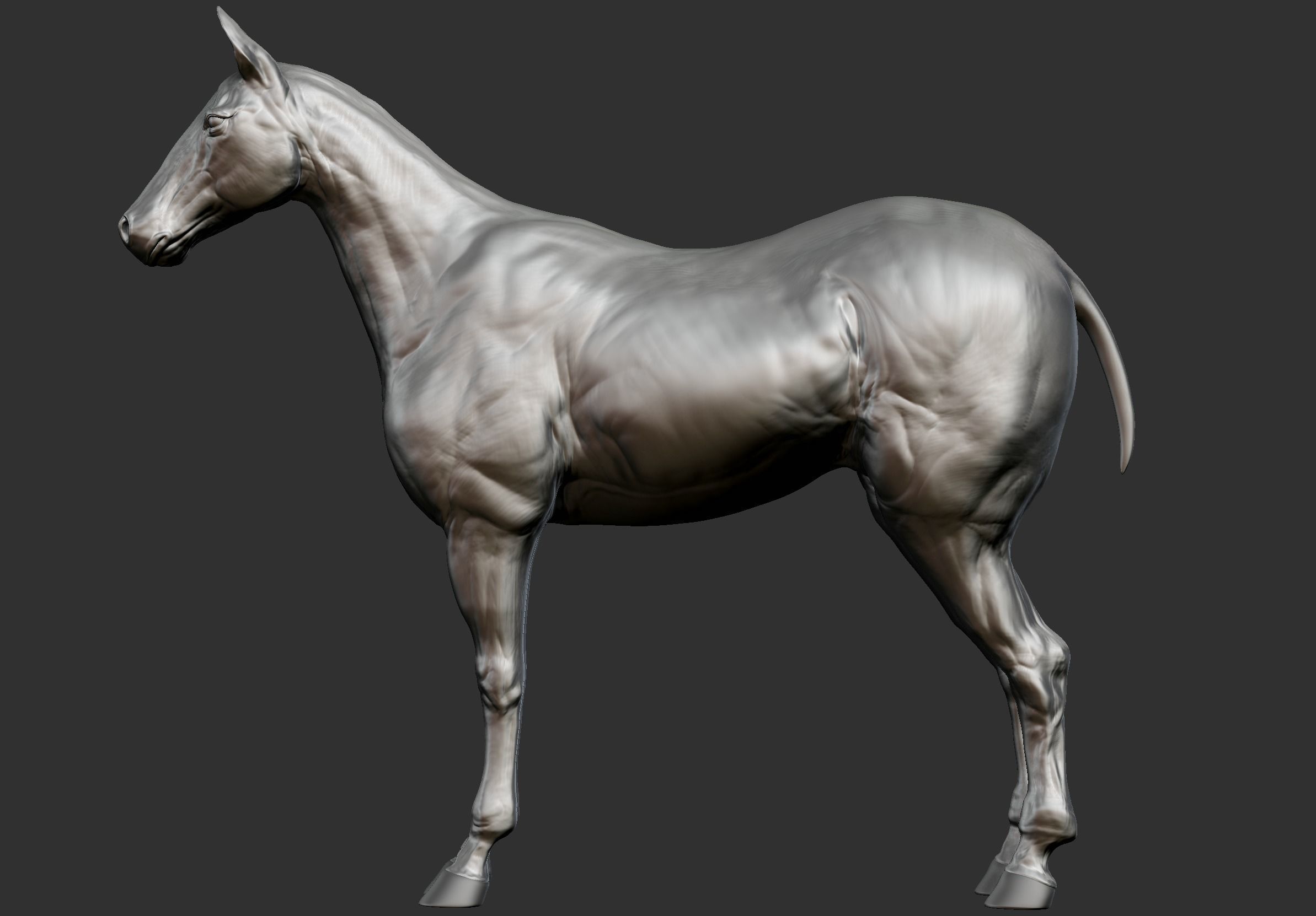 Realistic Horse Hi-Rez base-mesh 3D model 3D model | CGTrader