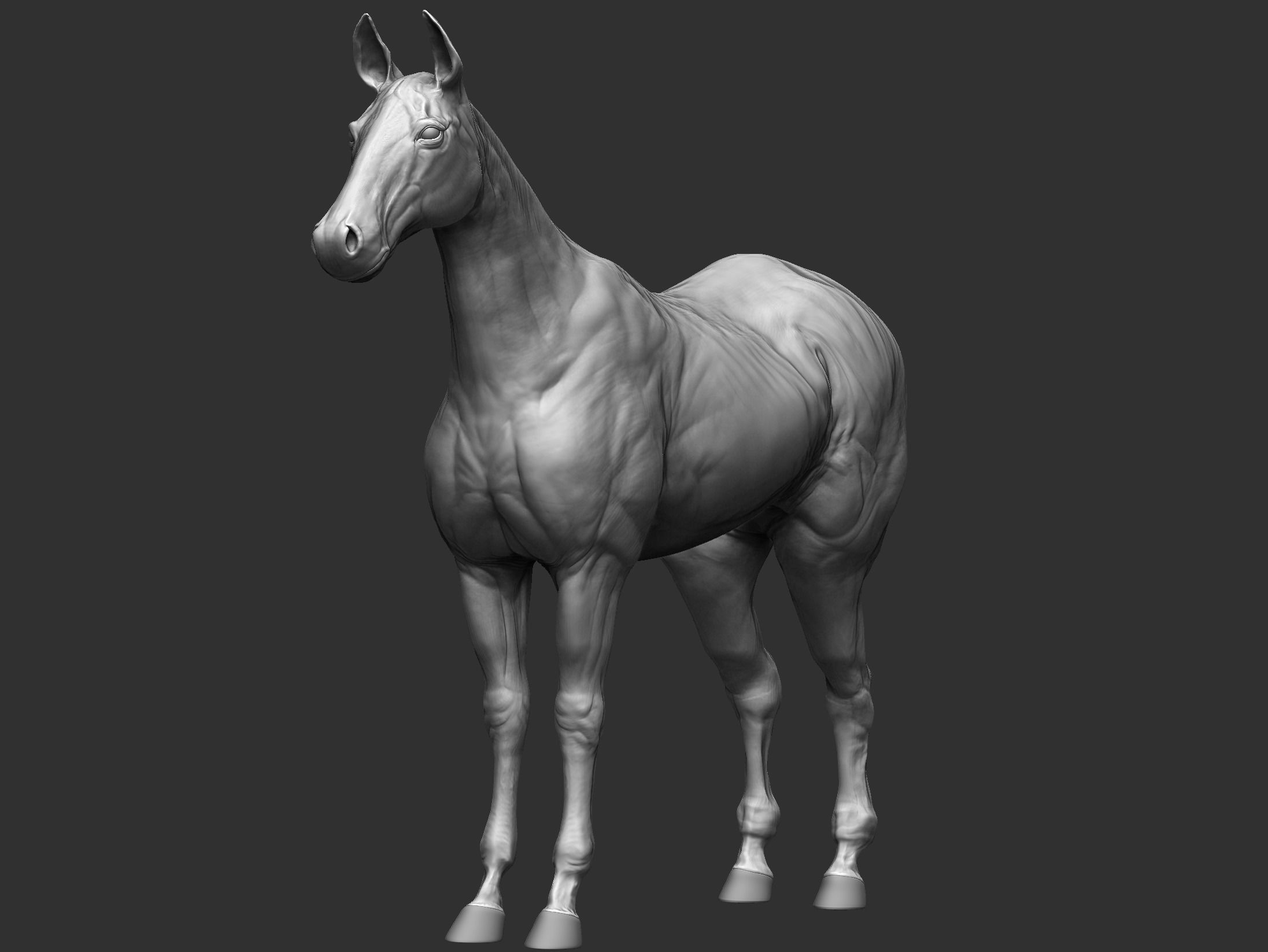 Realistic Horse Hi-Rez base-mesh 3D model 3D model | CGTrader