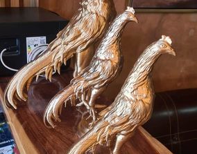 Gallo 3D Models | CGTrader