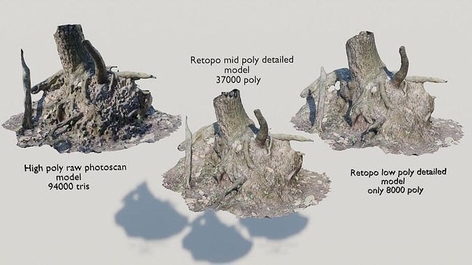 Tree Photoscan Retopologies Low poly Mid poly and Raw photoscan 3D ...