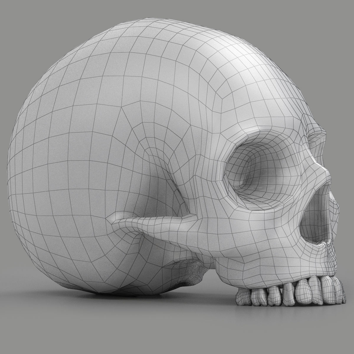 skull head 3D model | CGTrader