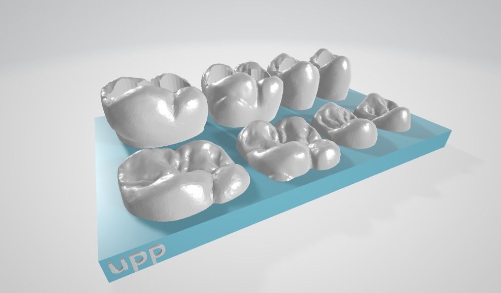 Dental Upper Arch Models 3D print model 3D model 3D printable | CGTrader