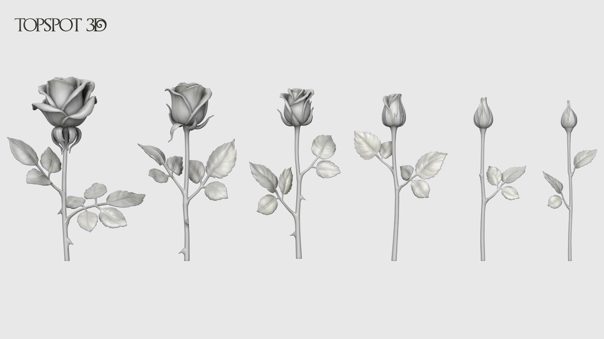 Rose Flowers Pack 3D model 3D printable | CGTrader