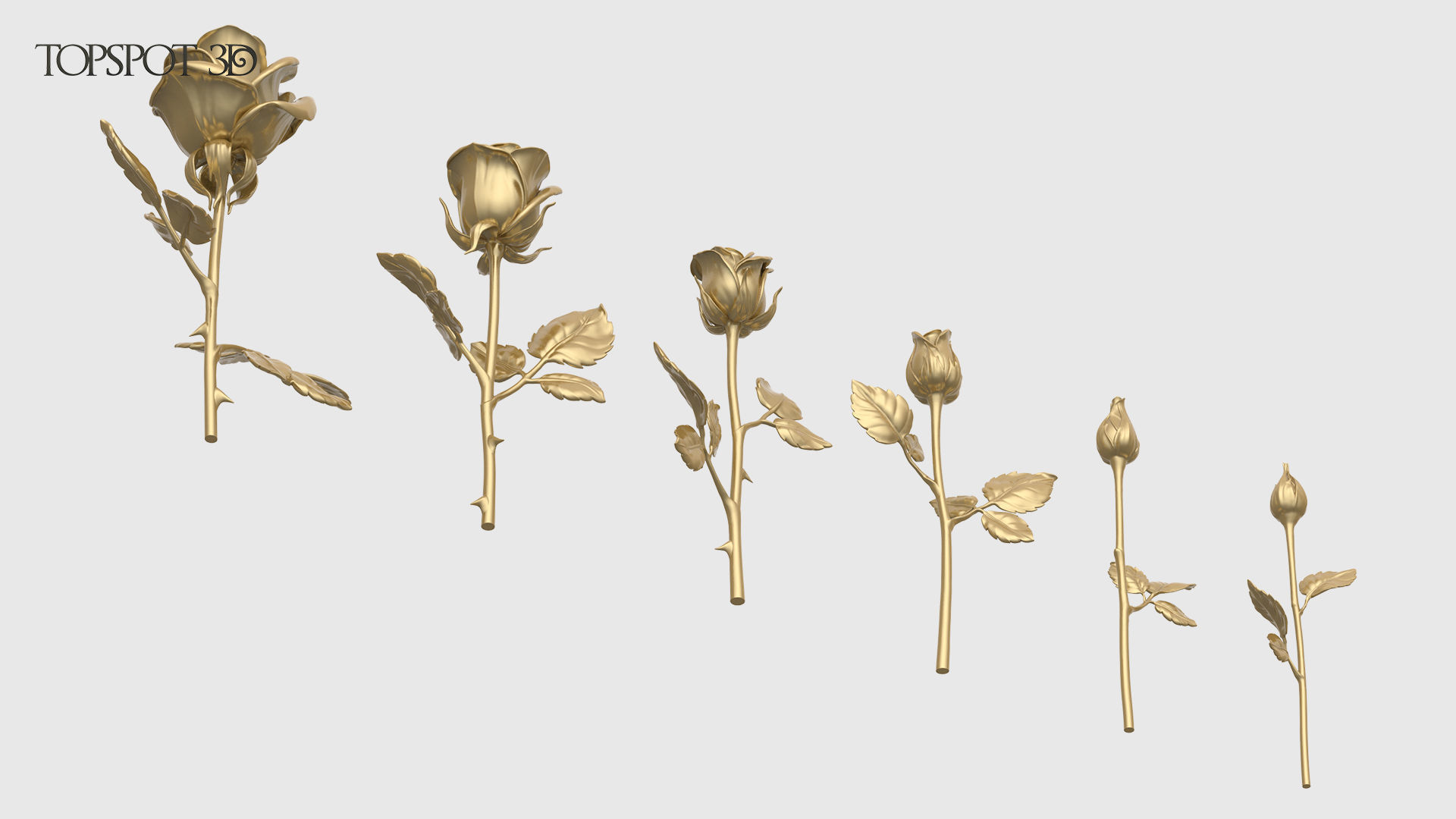 Rose Flowers Pack 3D model 3D printable | CGTrader