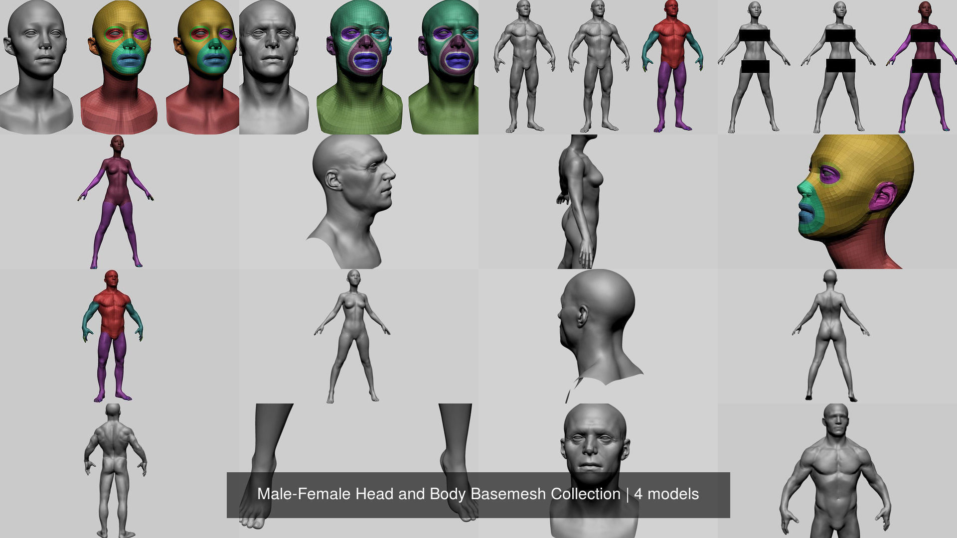 Male-Female Head and Body Basemesh Collection | CGTrader
