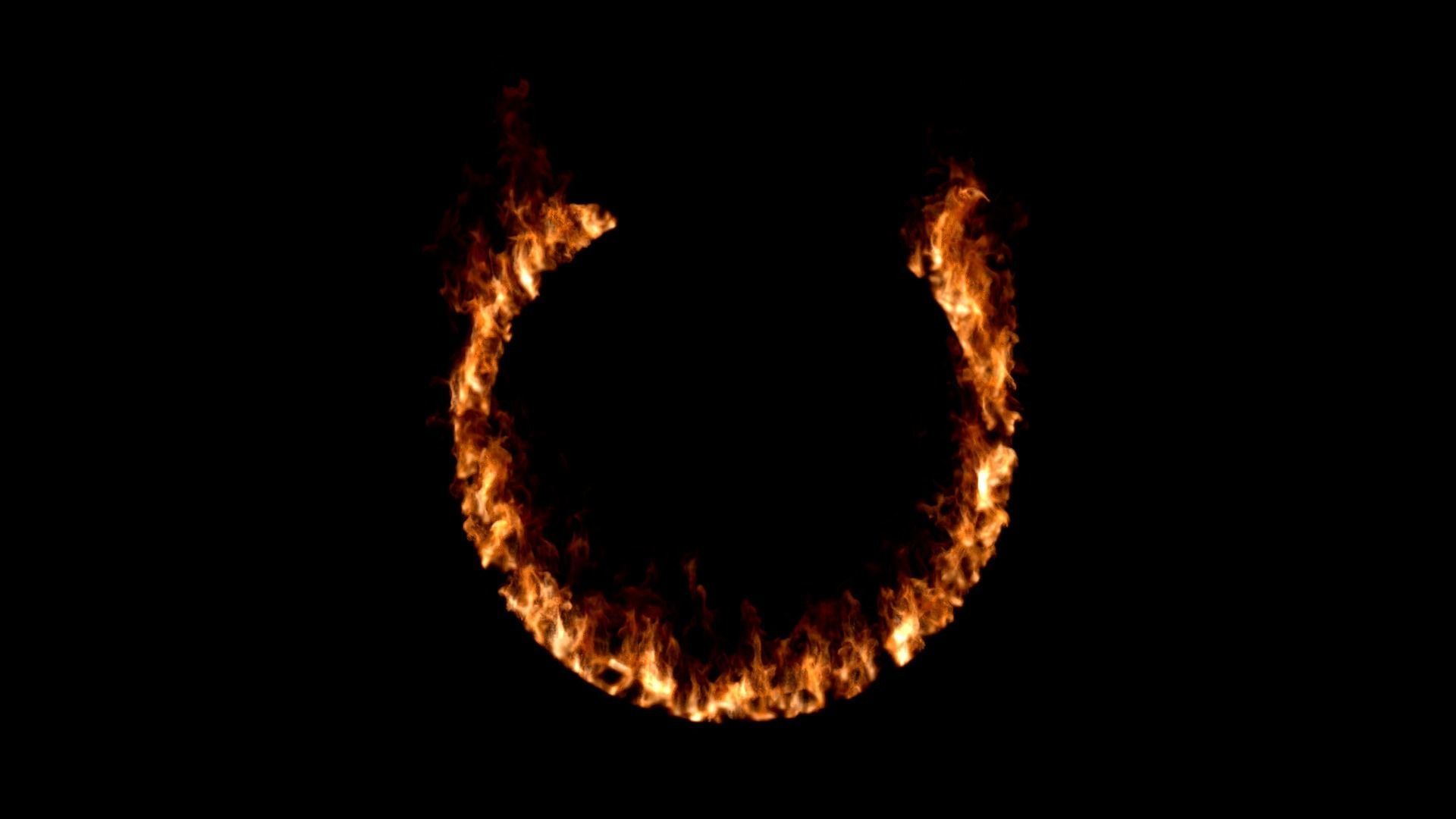 Fire ring circle vertical combustion EXR and VDB 300 frame 10sec 3D ...