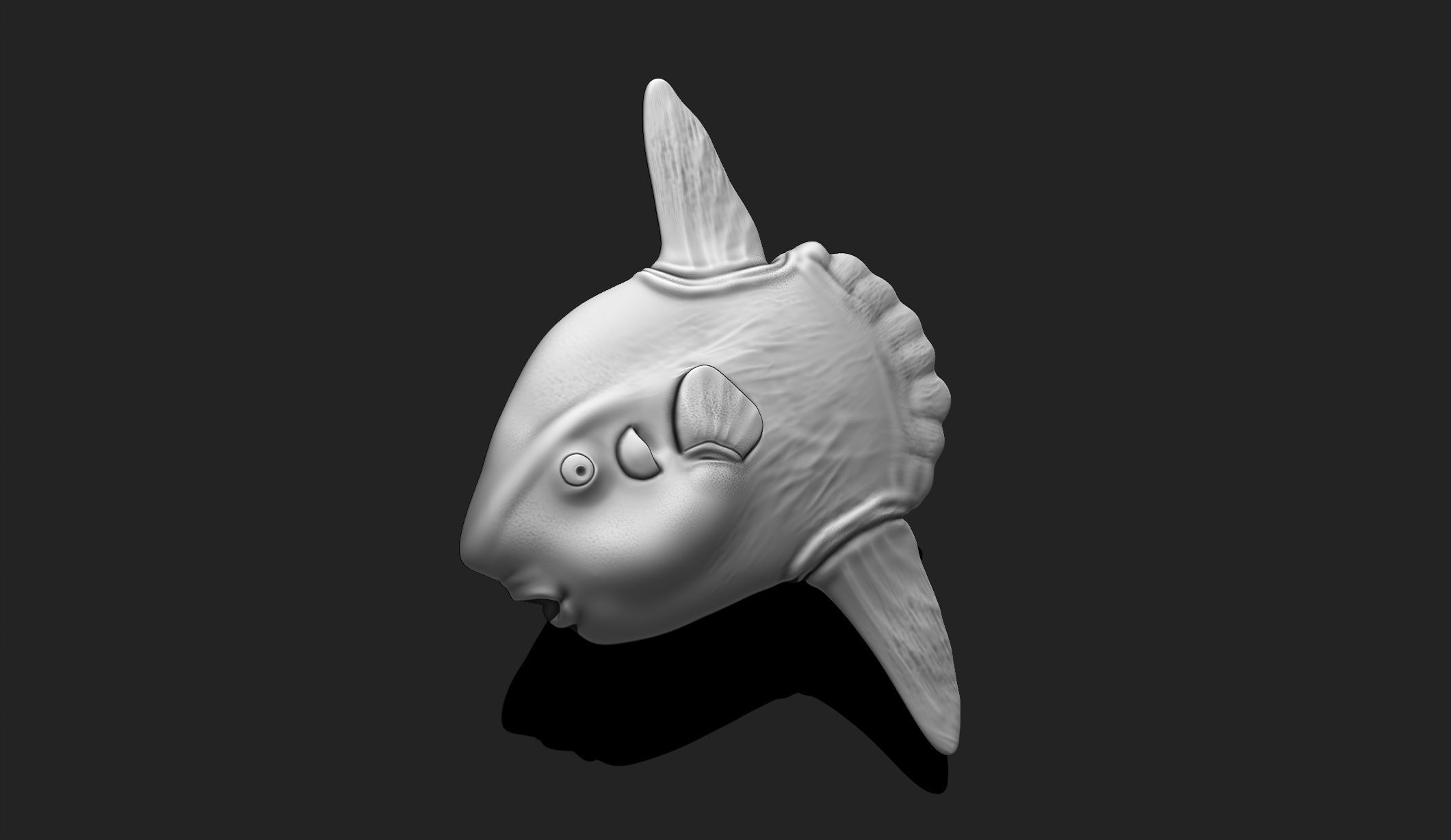 Sunfish - 3D Print - Aquarium 3D model 3D printable | CGTrader