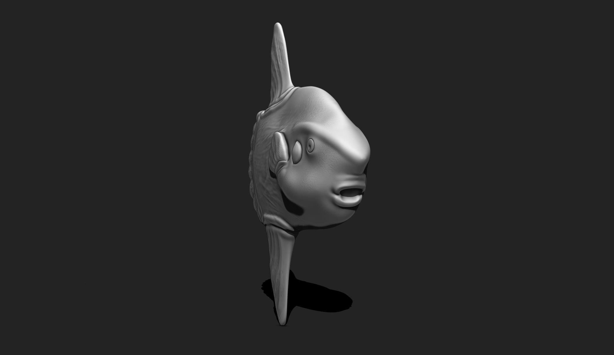 Sunfish - 3D Print - Aquarium 3D model 3D printable | CGTrader