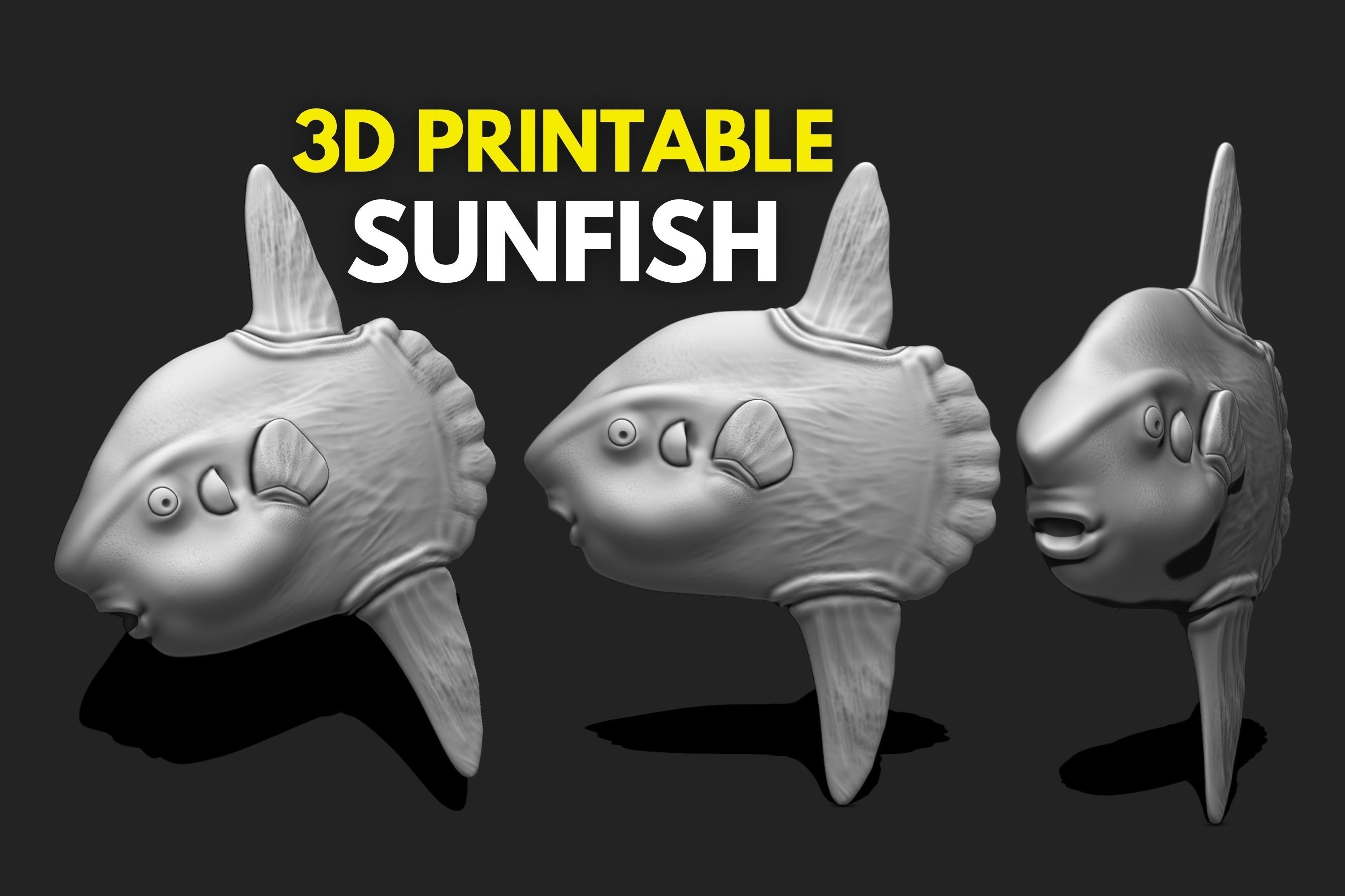 Sunfish - 3D Print - Aquarium 3D model 3D printable | CGTrader