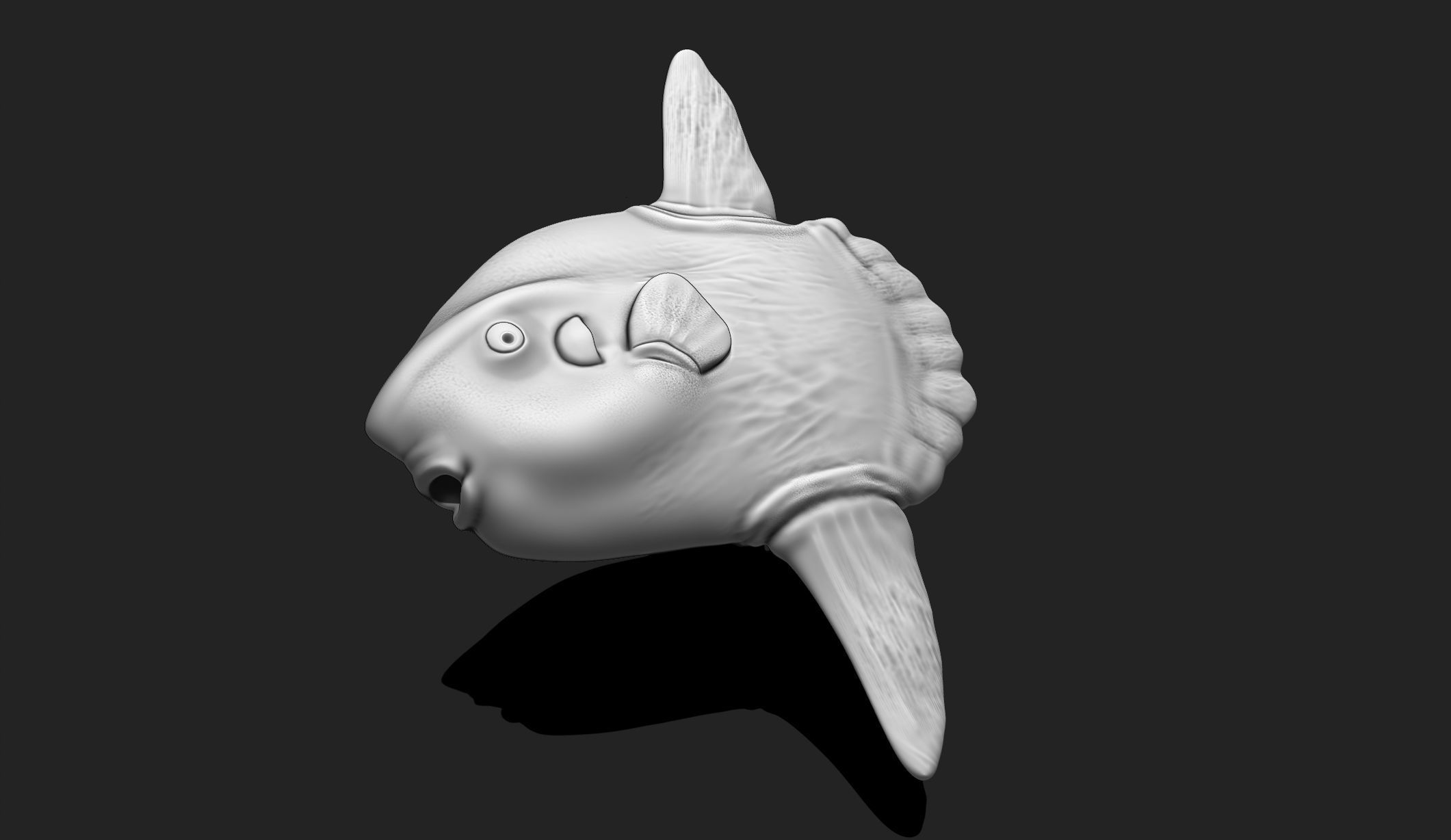 Sunfish - 3D Print - Aquarium 3D model 3D printable | CGTrader