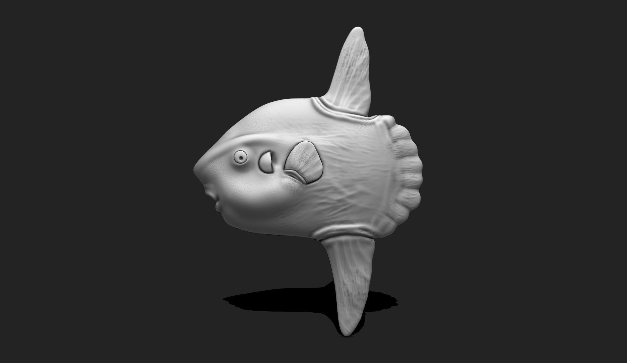 Sunfish - 3D Print - Aquarium 3D model 3D printable | CGTrader