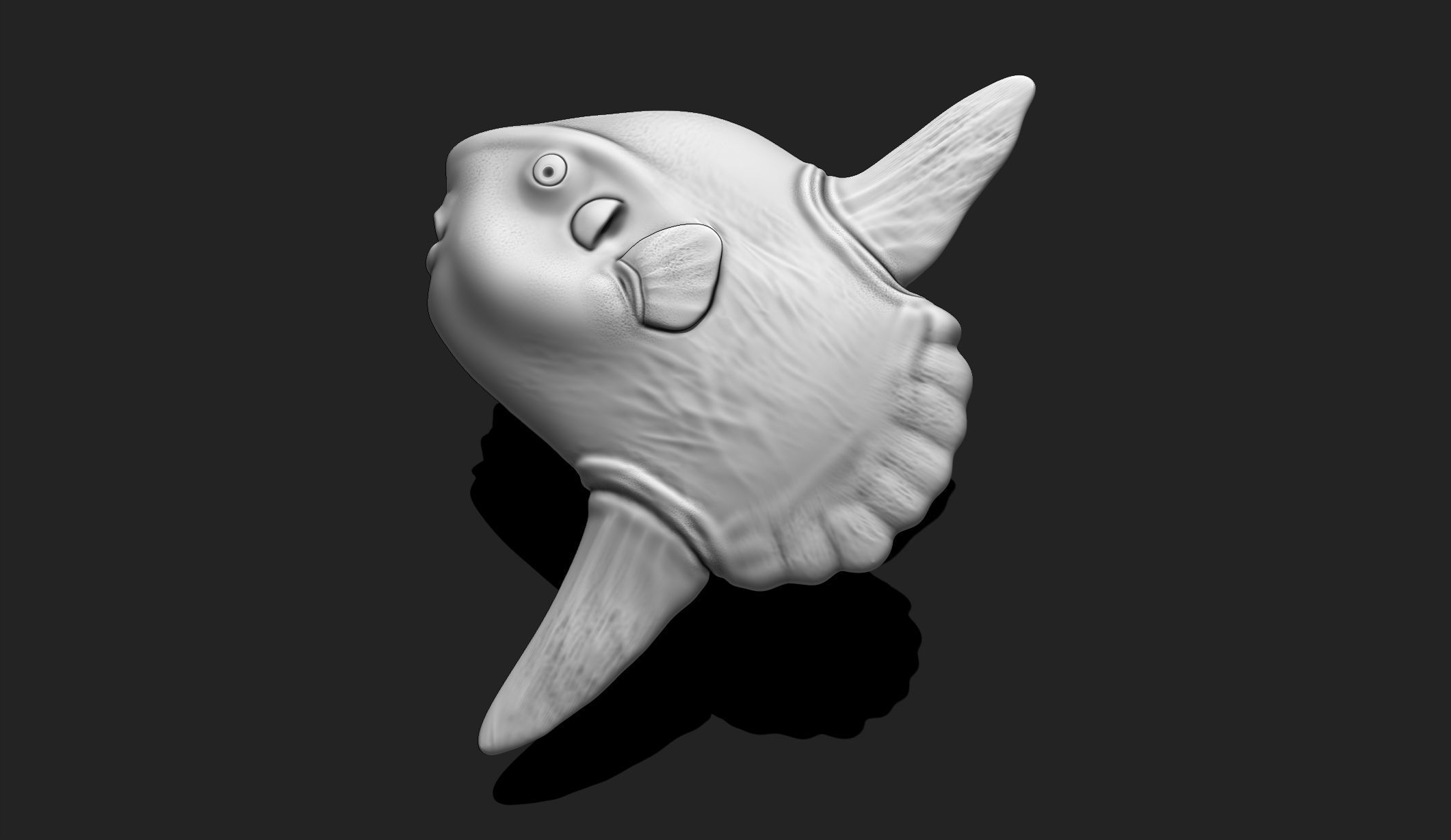 Sunfish - 3D Print - Aquarium 3D model 3D printable | CGTrader