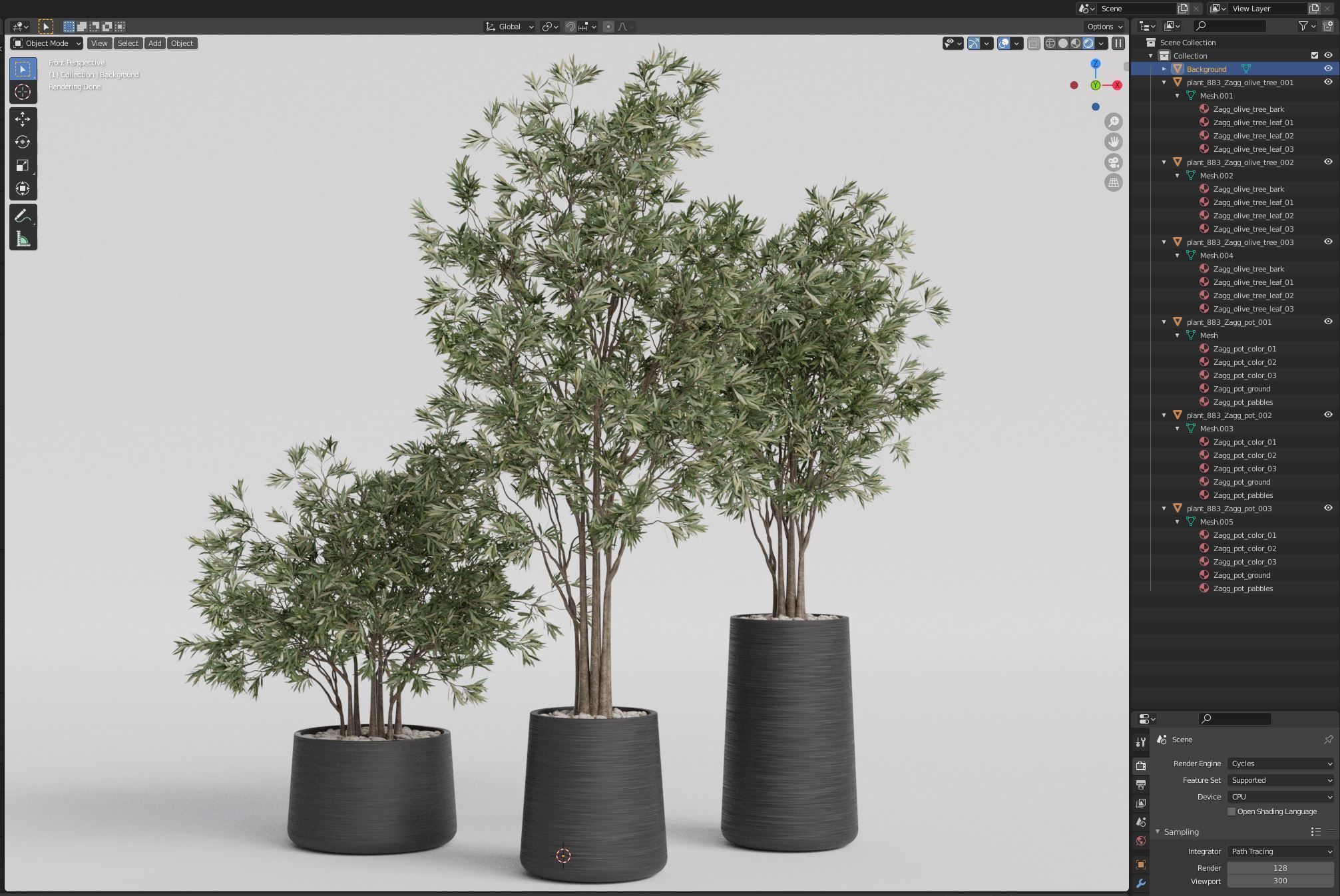 Plants collection 883 3D model | CGTrader