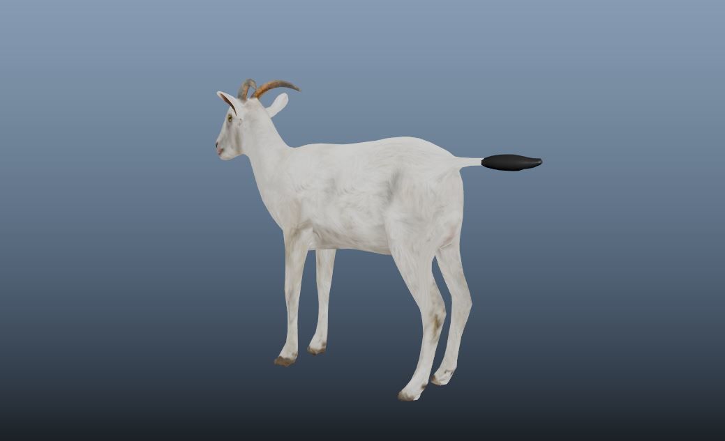 3D model Goat Animated VFX Grace VR / AR / low-poly | CGTrader