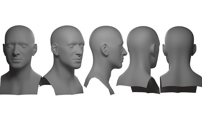Male basemesh head 3D model | CGTrader