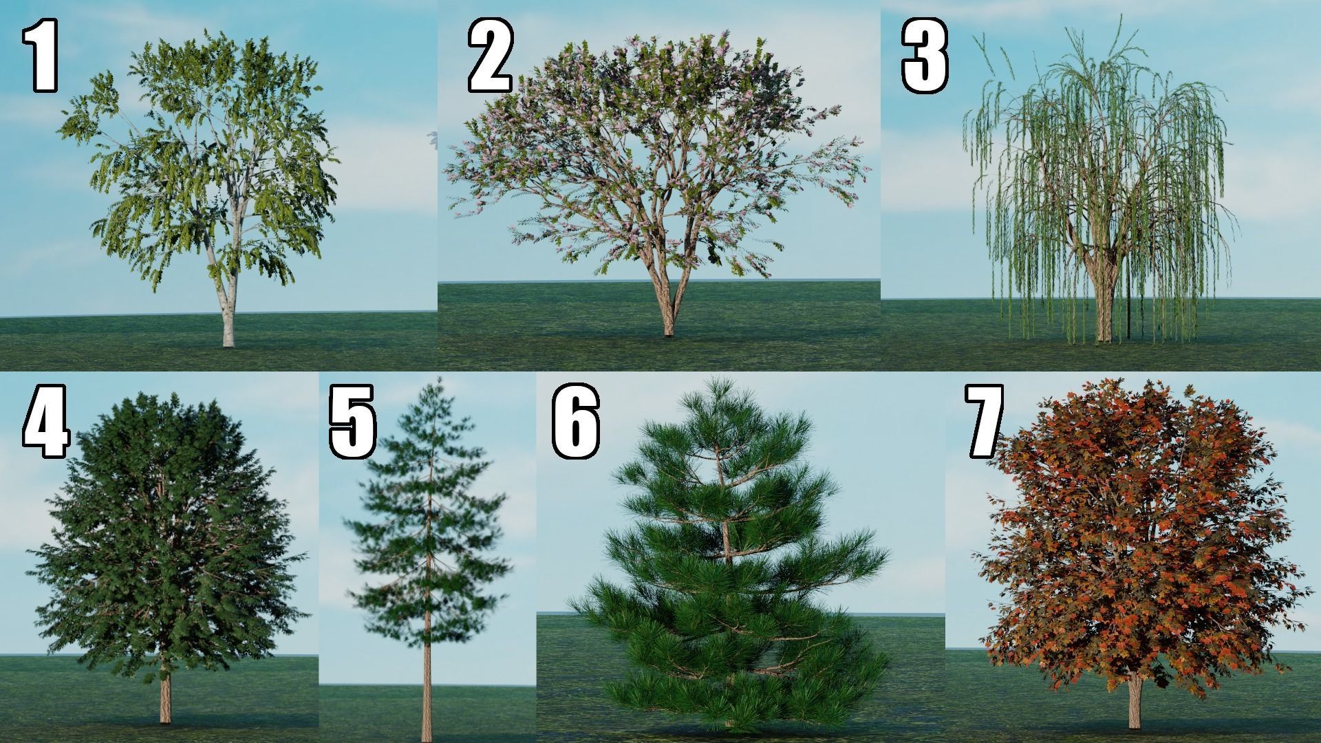 Realistic Tree Pack I Detailed Trees free 3D model | CGTrader
