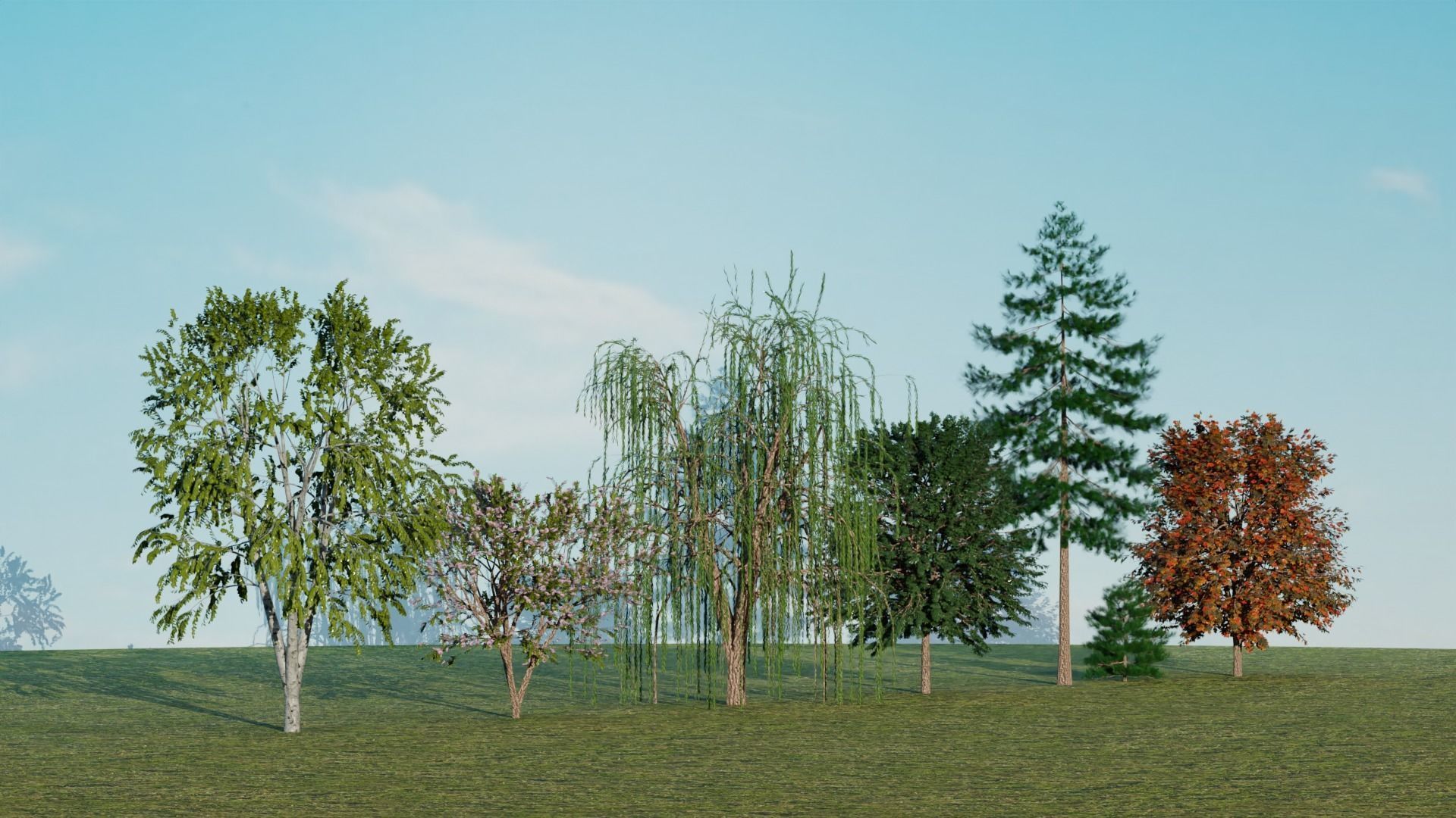 Realistic Tree Pack I Detailed Trees free 3D model | CGTrader