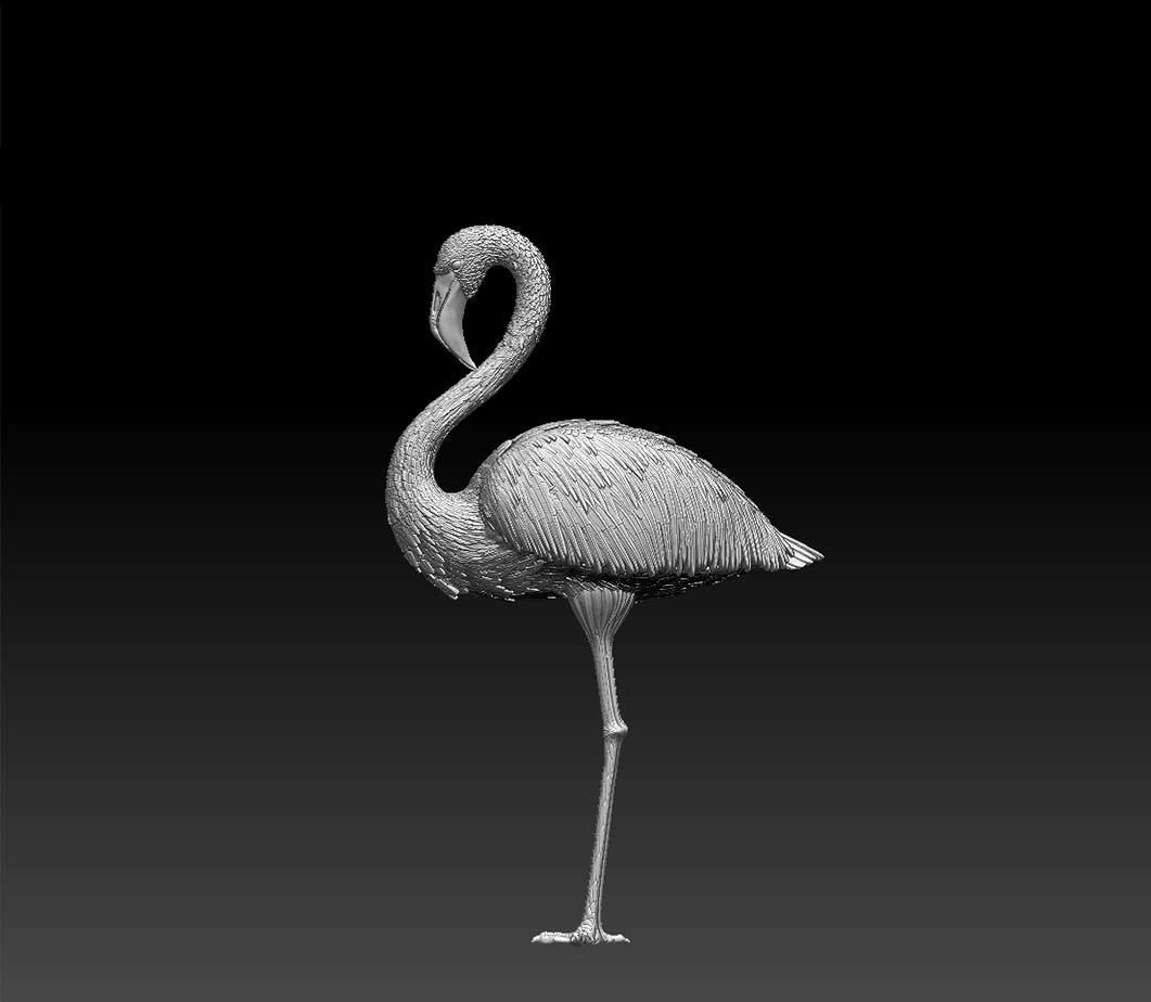 flamingo 3D model 3D printable | CGTrader