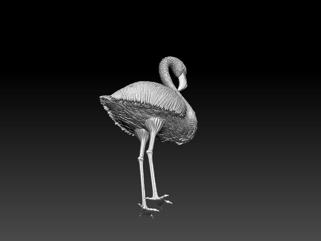 flamingo 3D model 3D printable | CGTrader