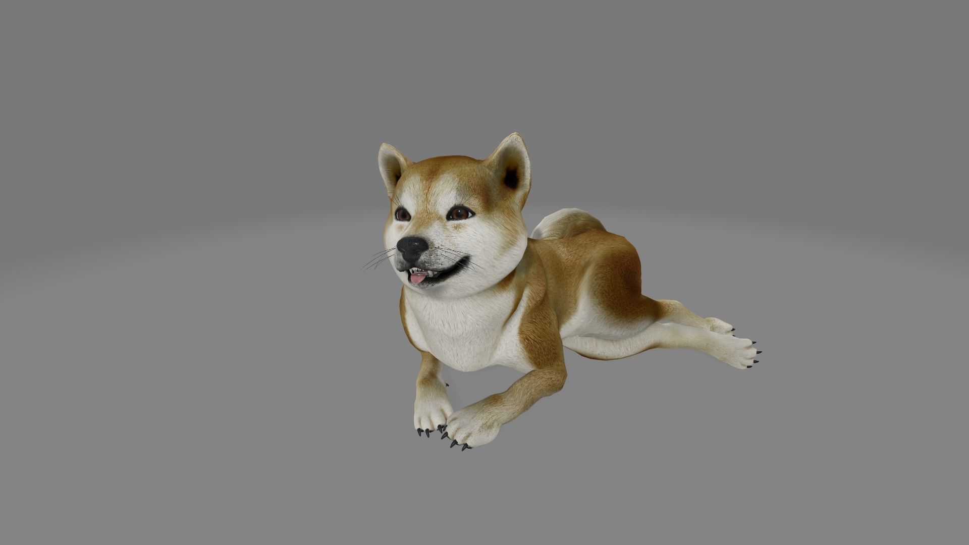 3D model animated shiba inu dog VR / AR / low-poly | CGTrader