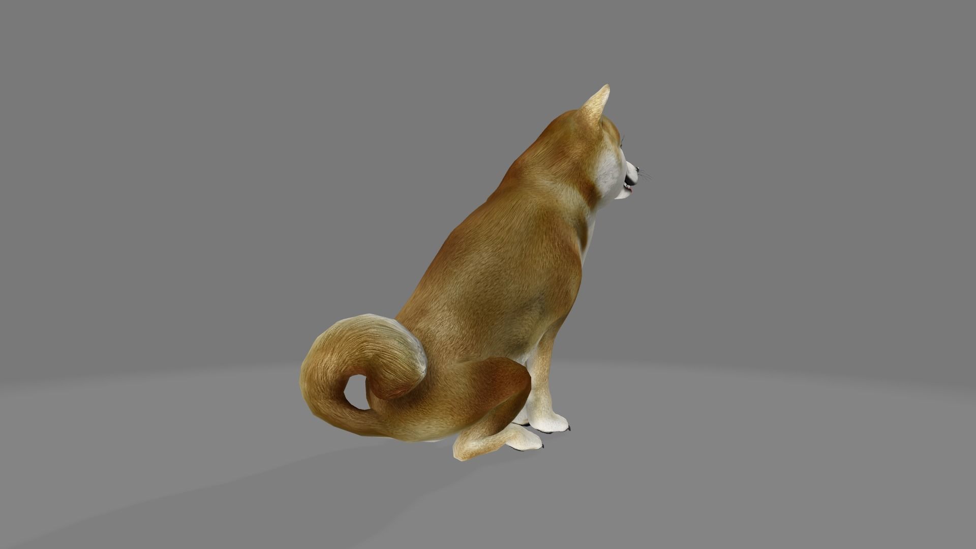 3D model animated shiba inu dog VR / AR / low-poly | CGTrader