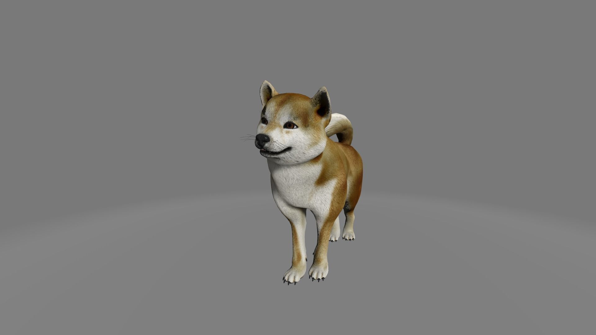 3D model animated shiba inu dog VR / AR / low-poly | CGTrader