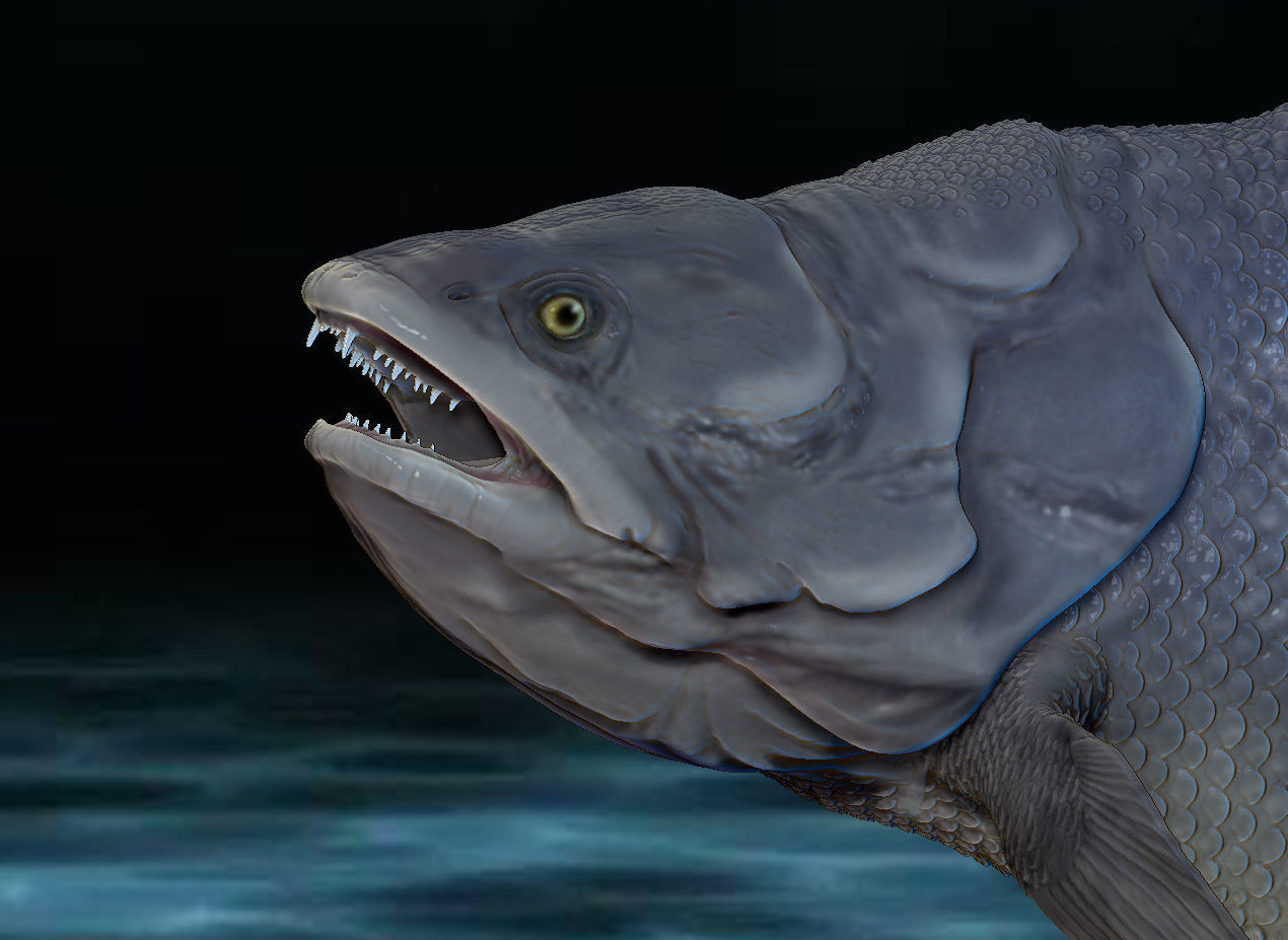 Coelacanth Latimeria fish 3D model 3D printable | CGTrader