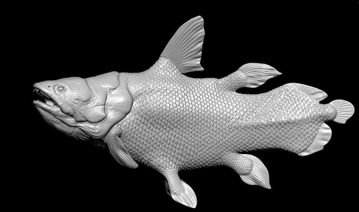 Coelacanth Latimeria fish 3D model 3D printable | CGTrader