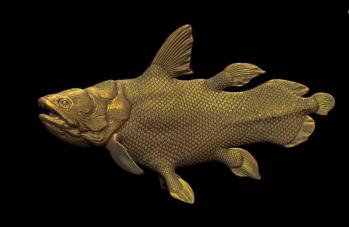 Coelacanth Latimeria fish 3D model 3D printable | CGTrader