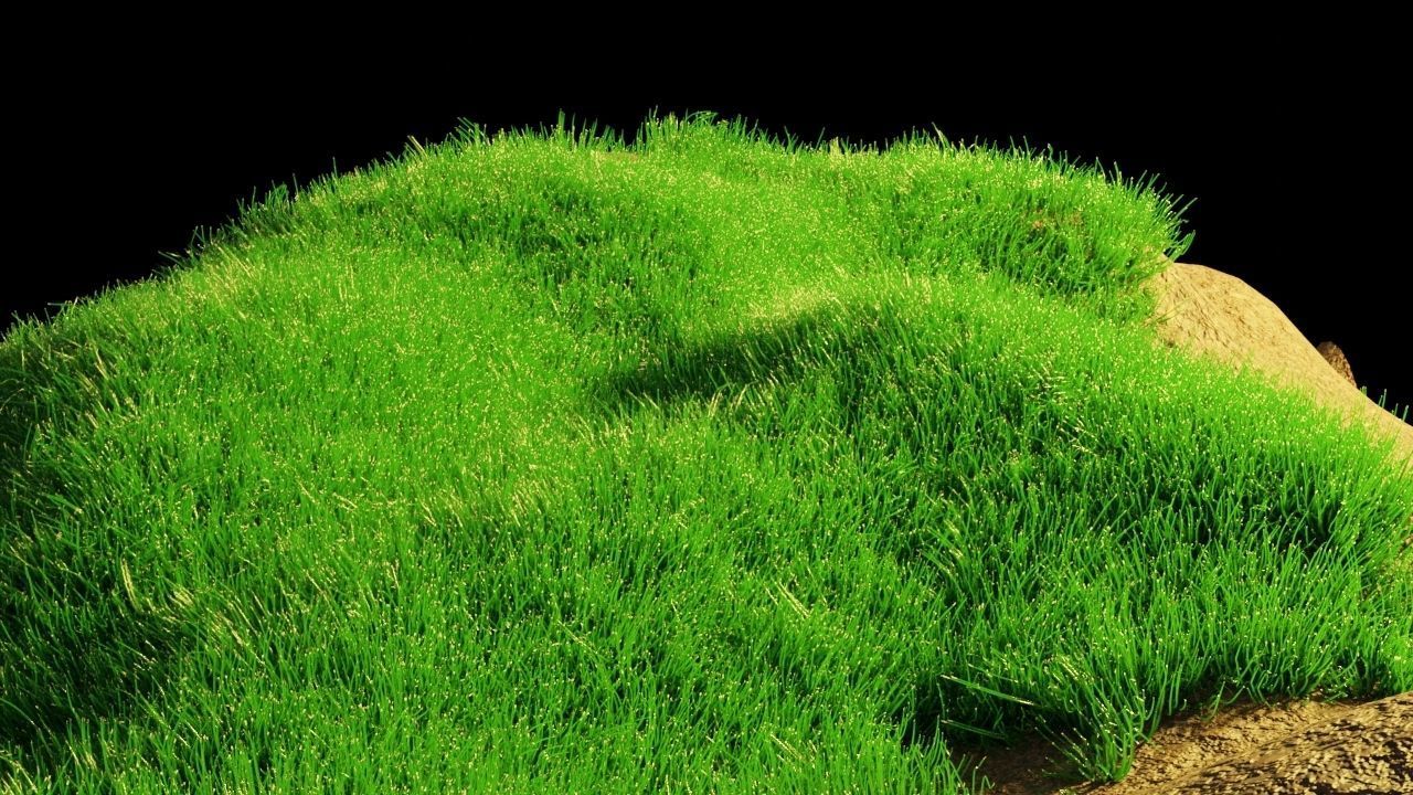 3D model Blender Realistic Grass With Particle System VR / AR / low ...