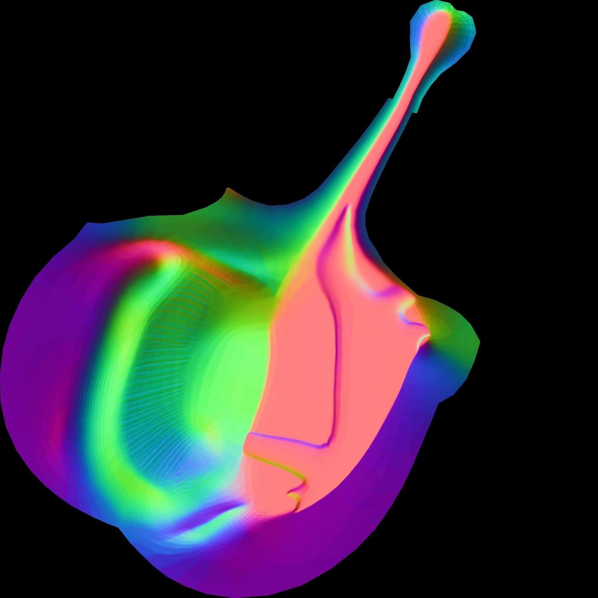 Neuro and Optic Anatomy 3D model | CGTrader
