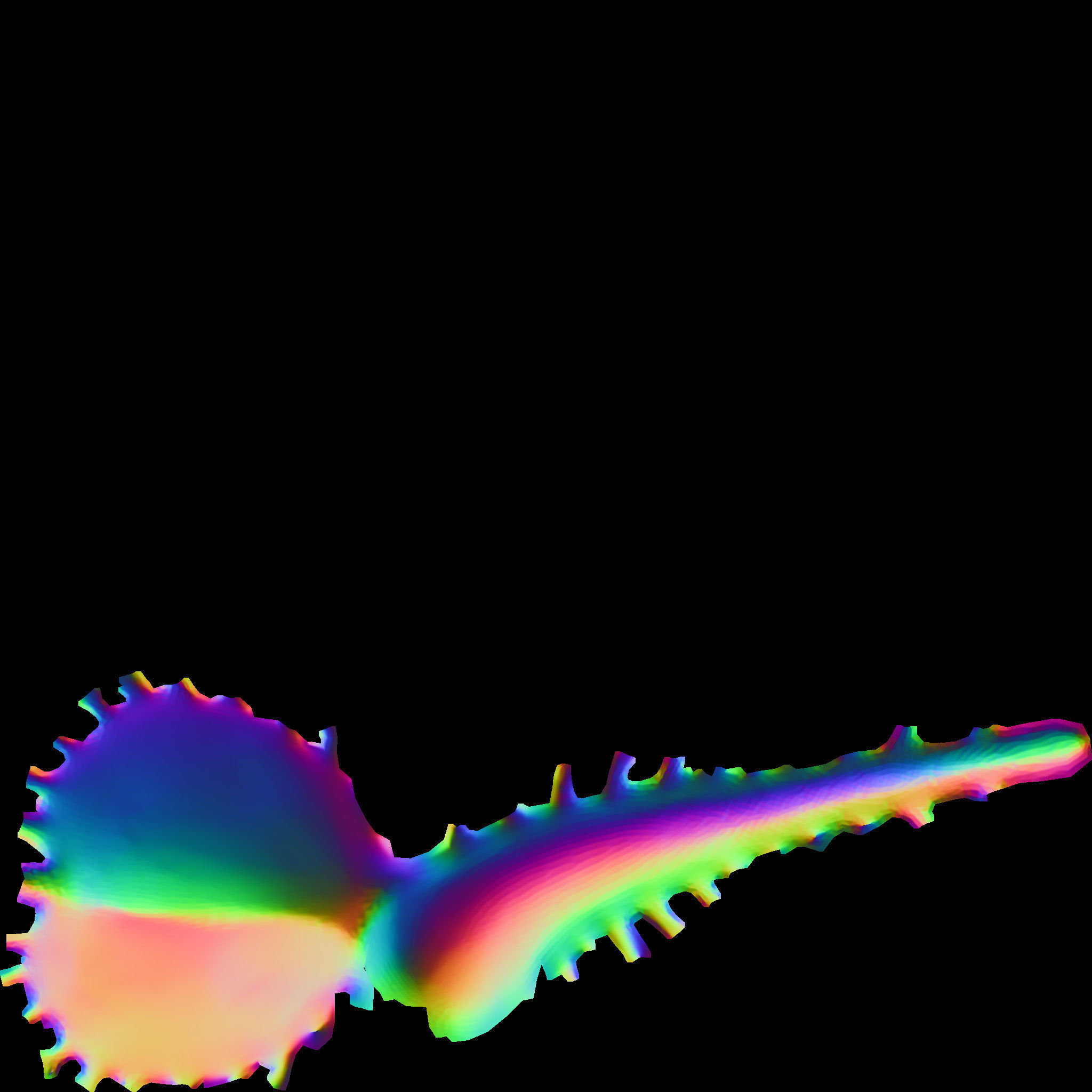 Neuro and Optic Anatomy 3D model | CGTrader