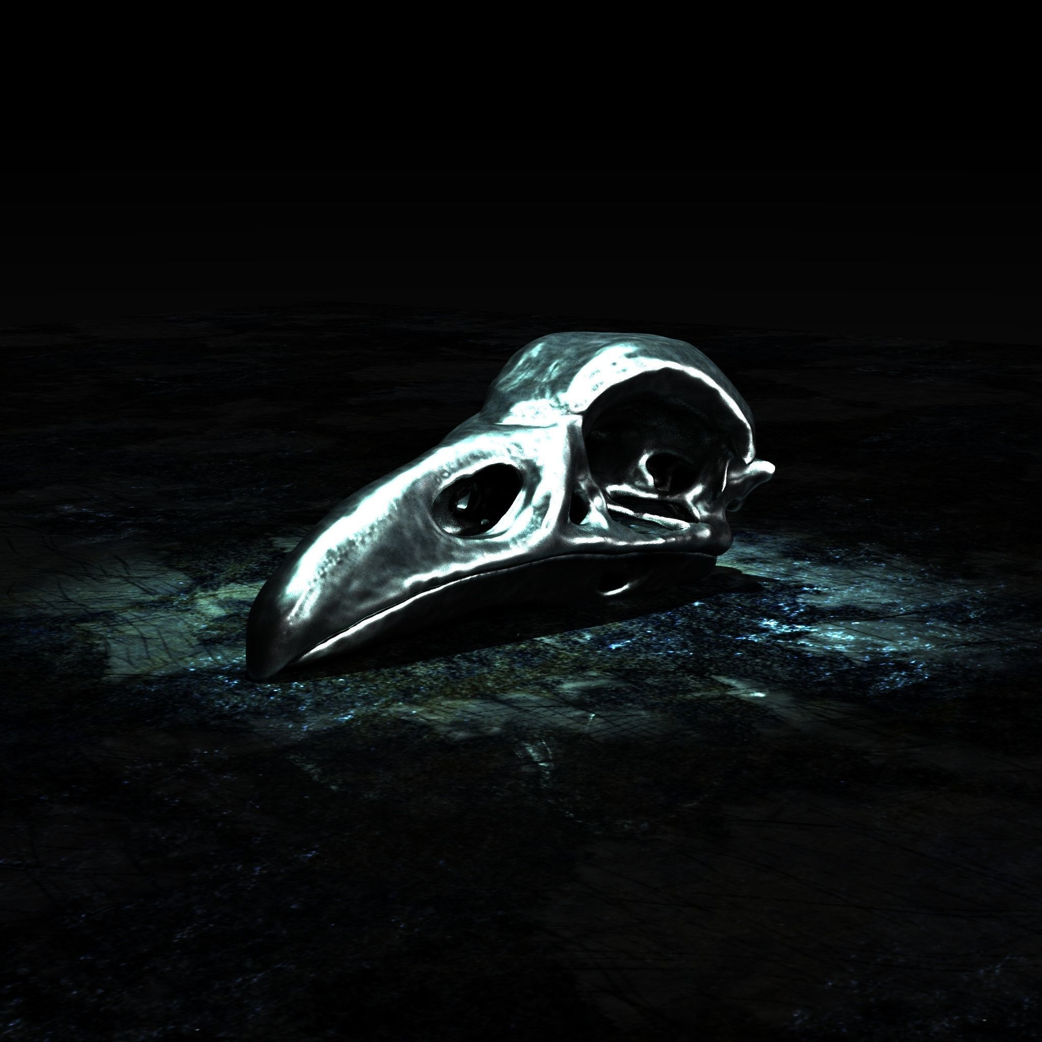 Anatomically Correct Raven Bird Skull - 3D Printable Model 3D model 3D ...