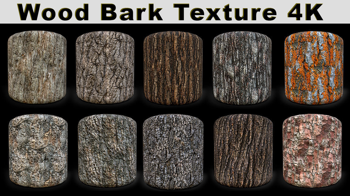 Texture Wood Bark Texture 4K VR / AR / low-poly | CGTrader