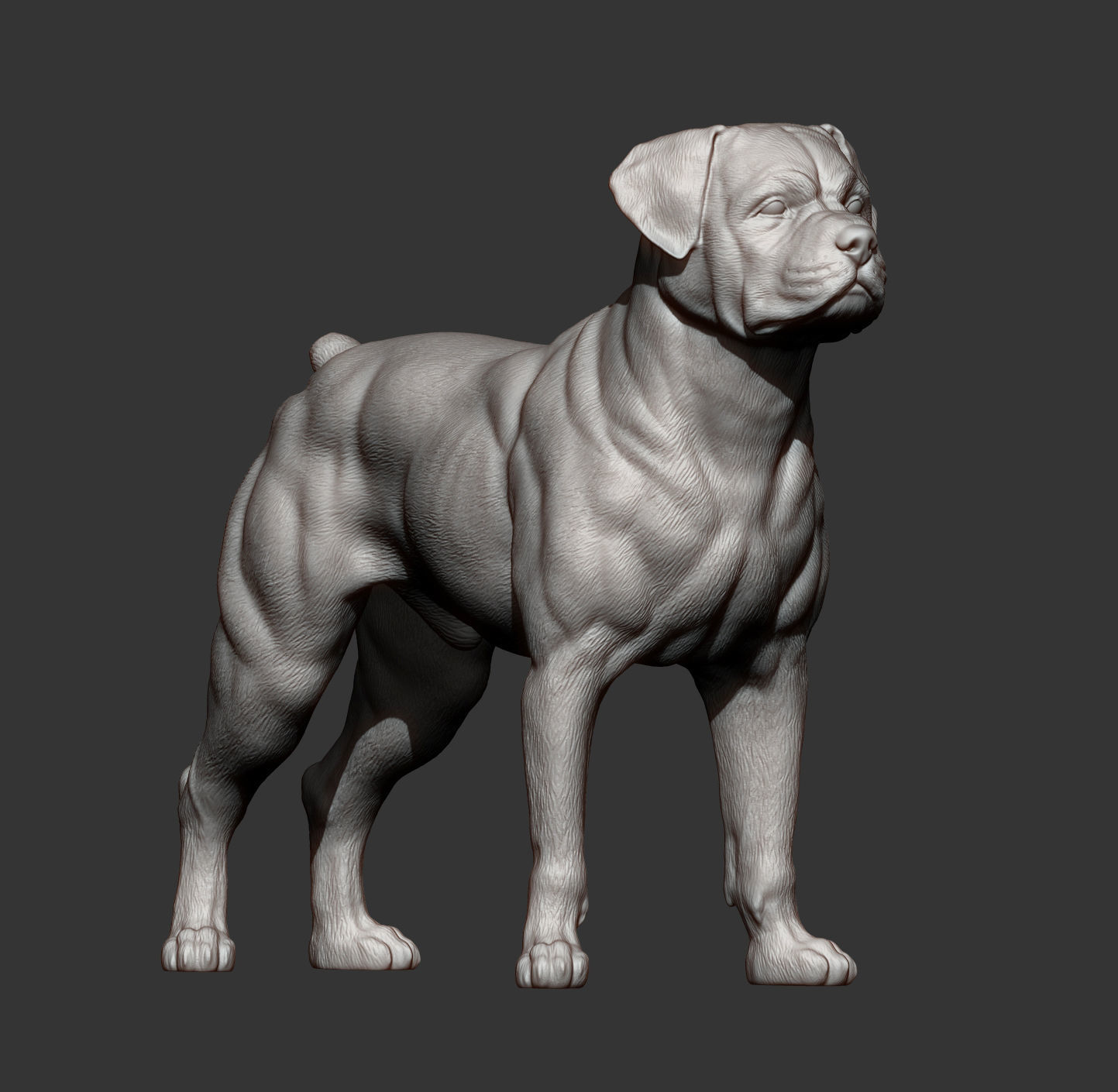rottweiler dog 3D model 3D printable | CGTrader