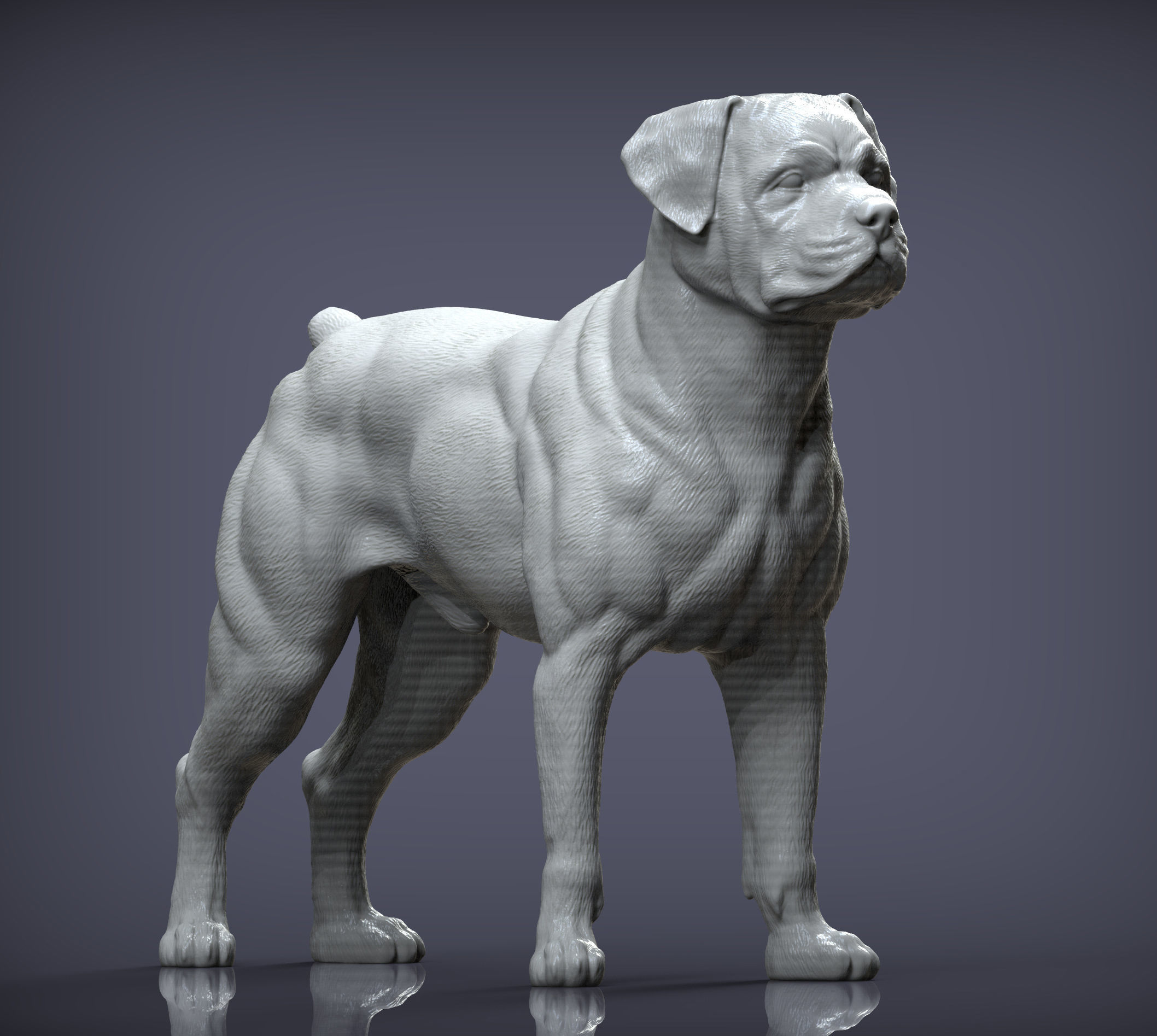 rottweiler dog 3D model 3D printable | CGTrader