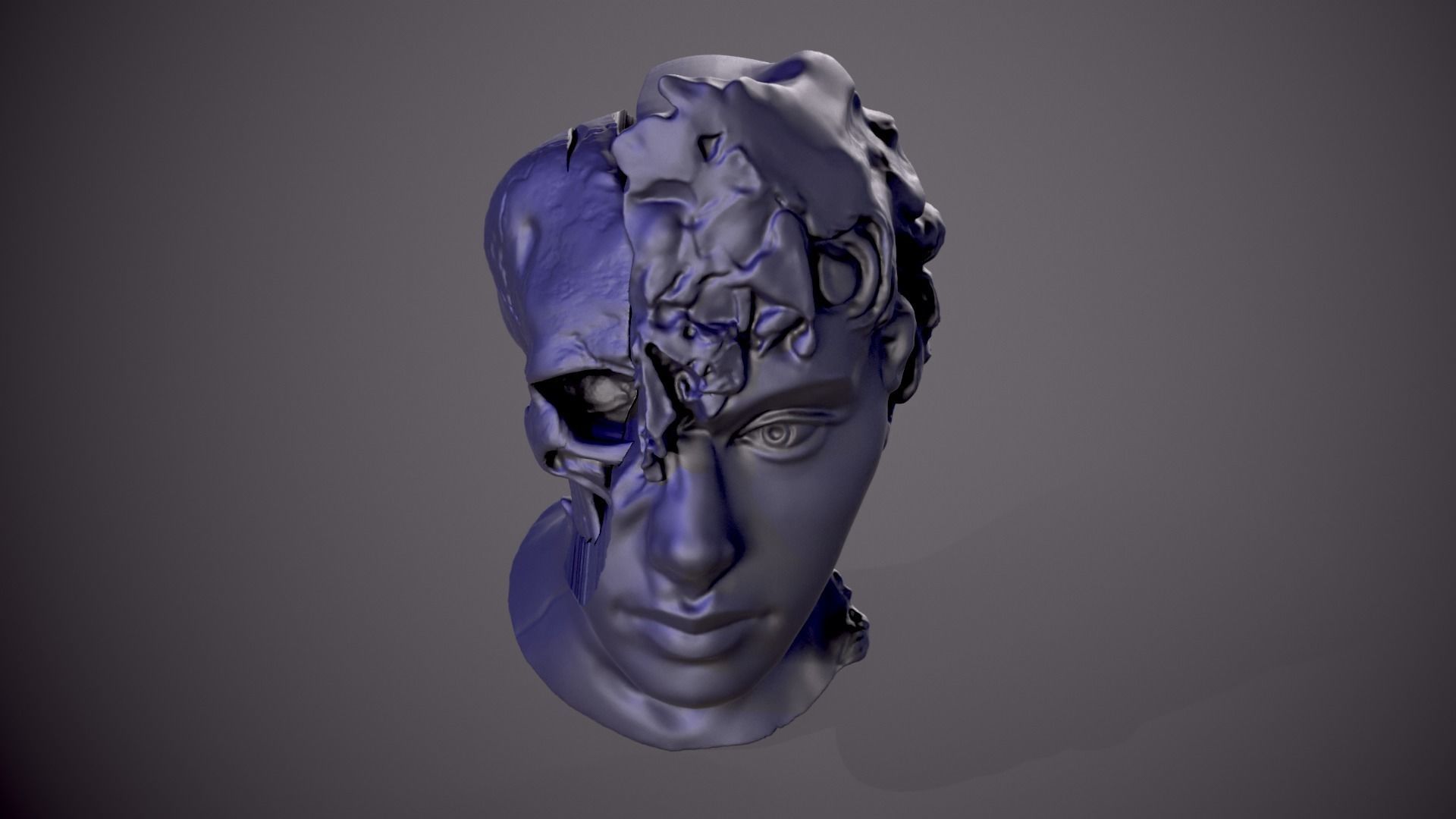 Half Face and Half Skull 3D model 3D printable | CGTrader