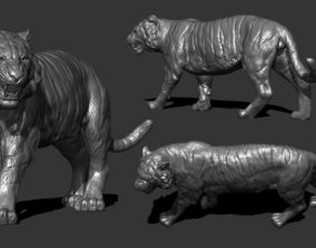 Tiger 3D Printing Models | CGTrader