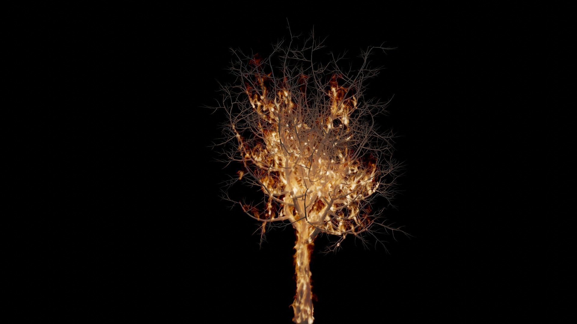 Tree burning fire animation 10 sec 300 frames 3D model animated | CGTrader