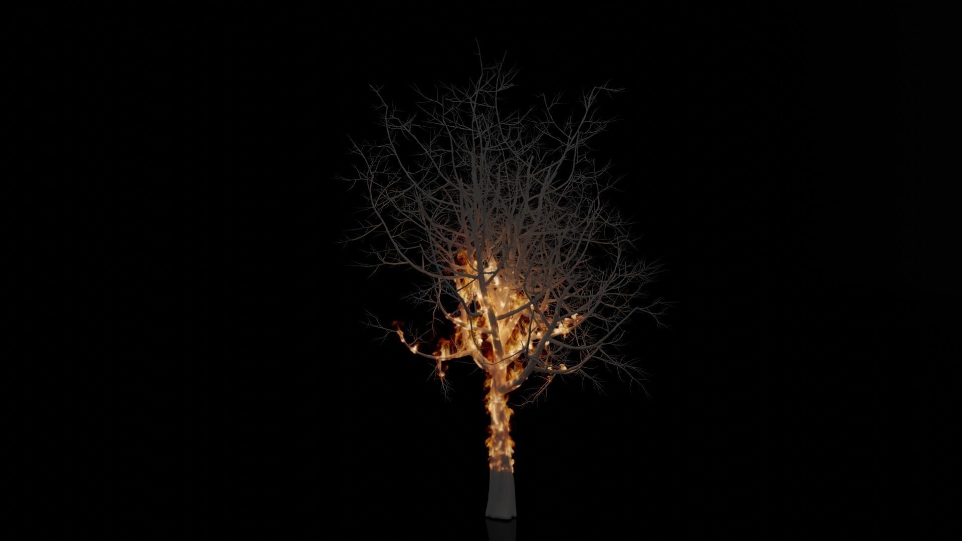 Tree burning fire animation 10 sec 300 frames 3D model animated | CGTrader