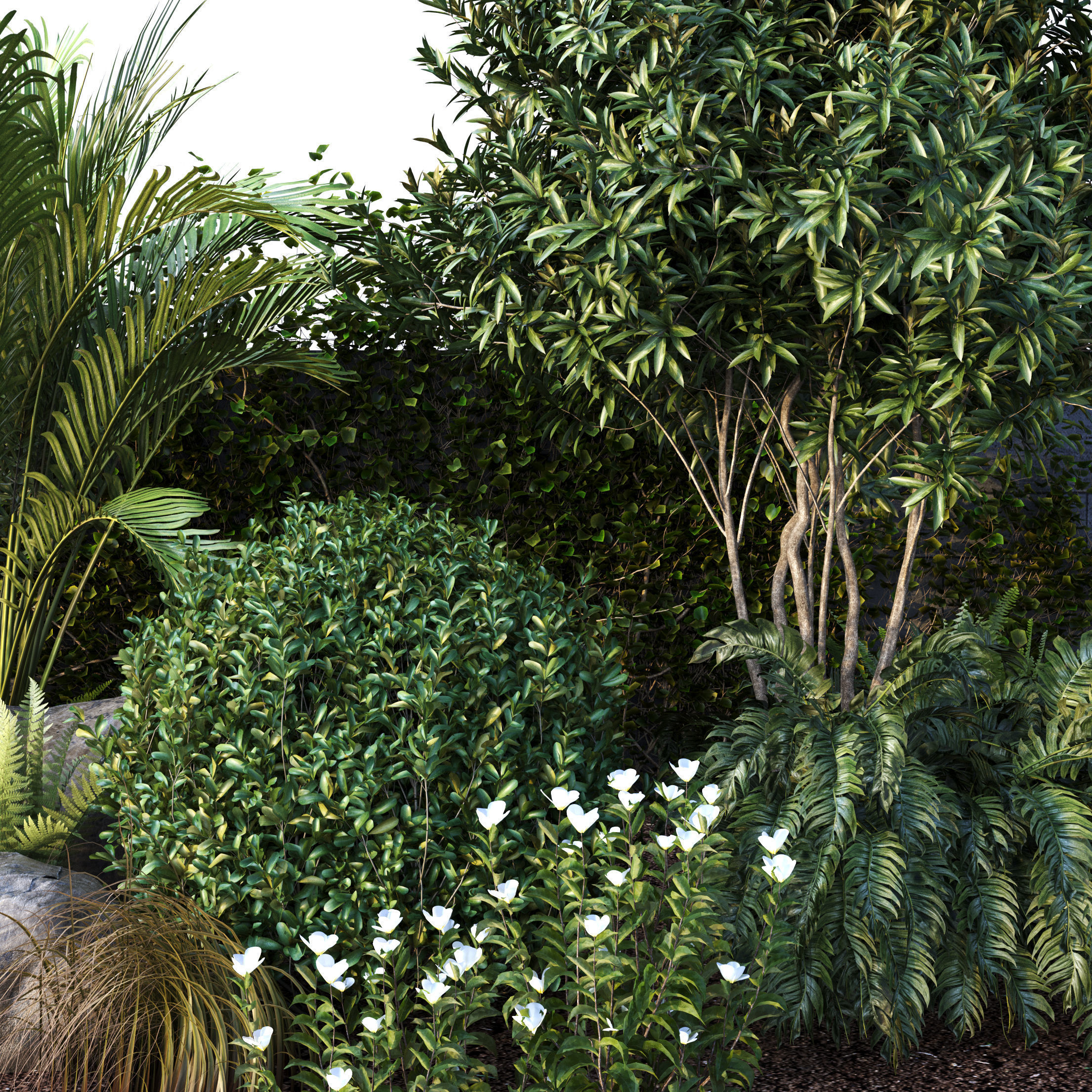 Group of outdoor Trees- Plants 3D model | CGTrader