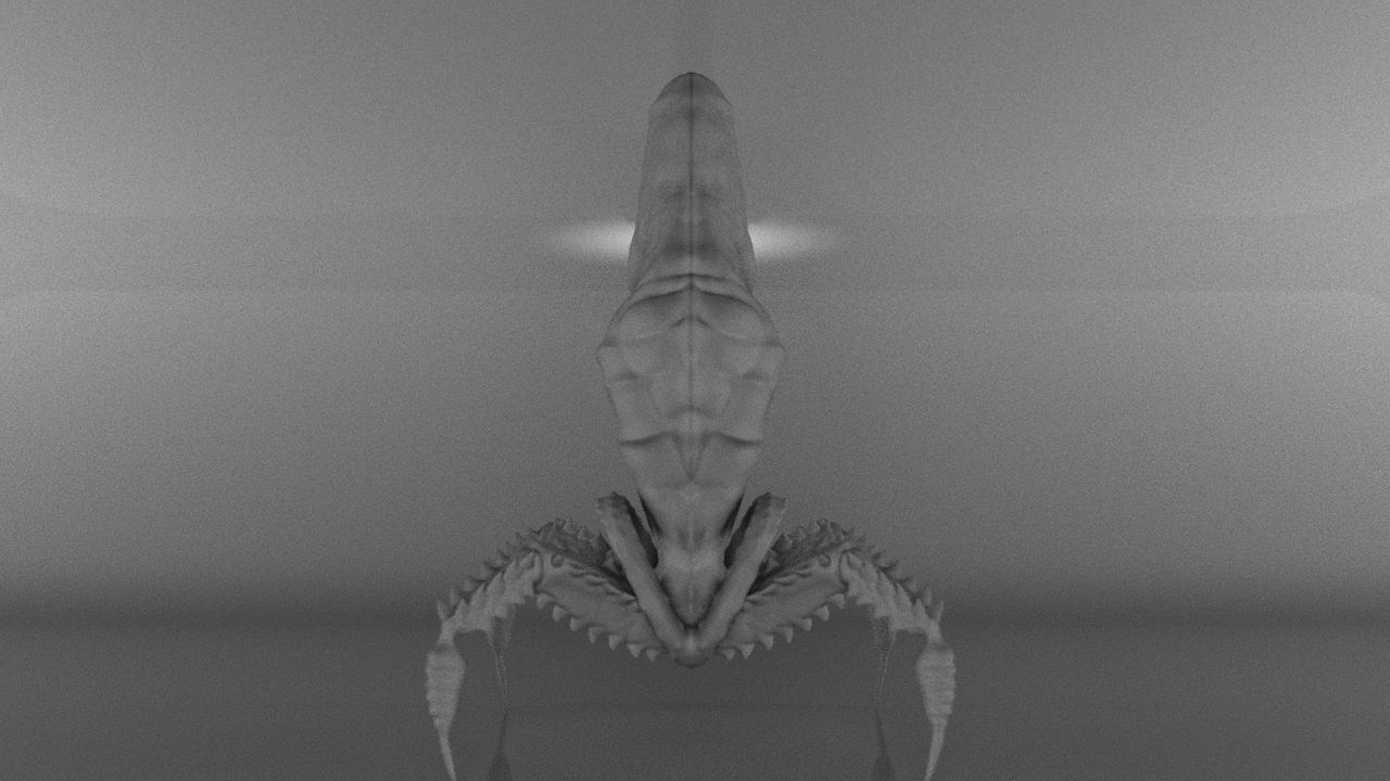 scrab model creature 3D model | CGTrader