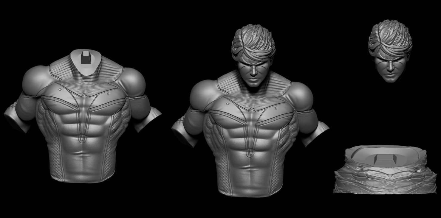 Fan Art Nightwing - Bust Version 3D model 3D printable | CGTrader