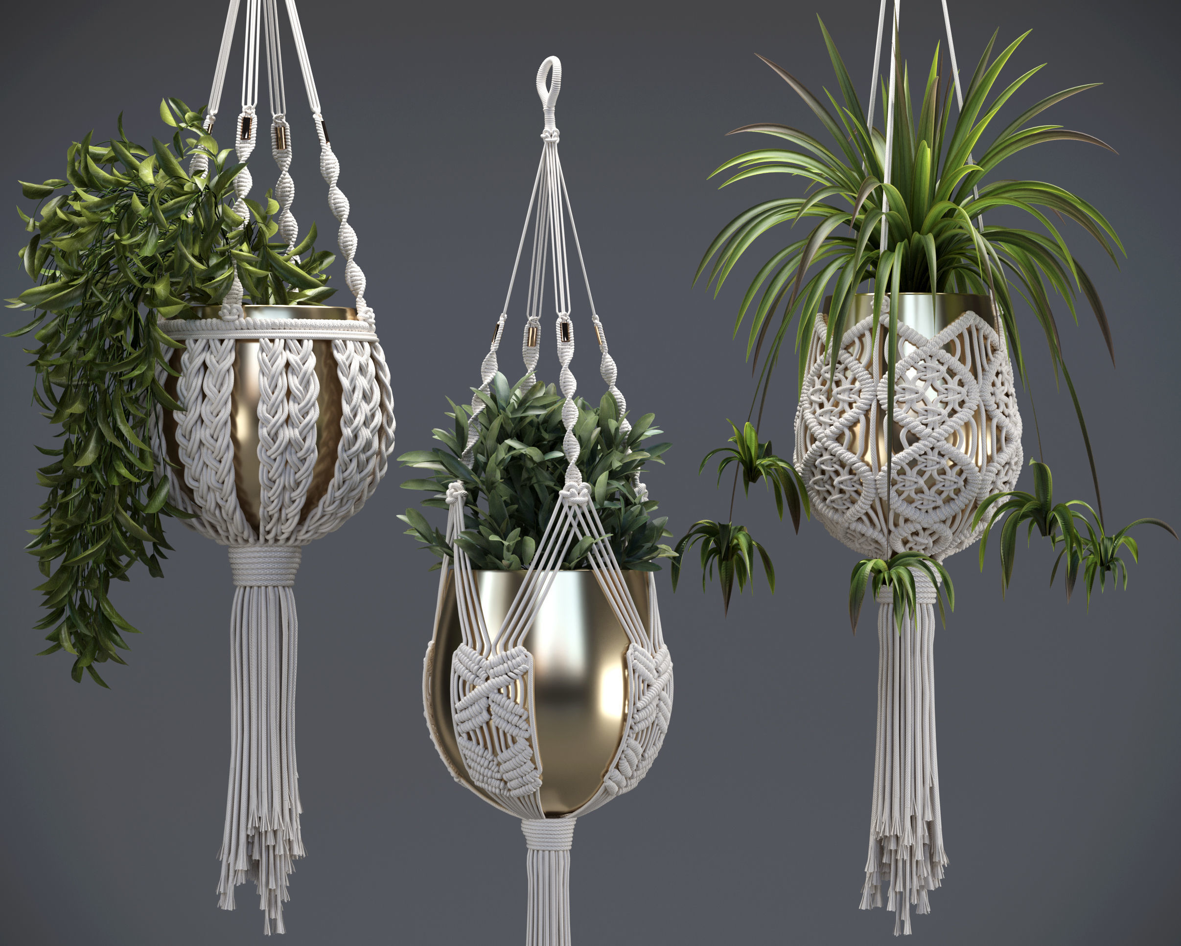 Macrame Plants Hanger 3D model | CGTrader