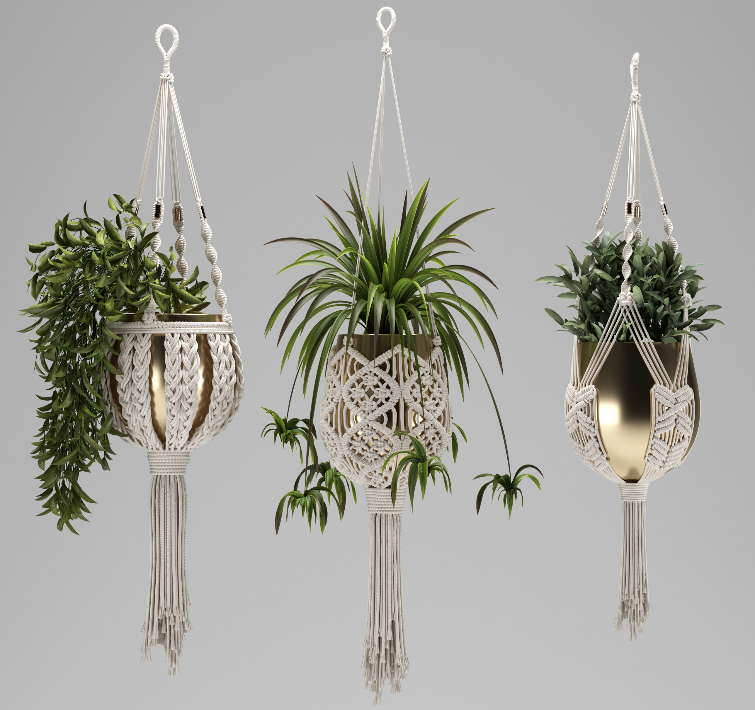 Macrame Plants Hanger 3D model | CGTrader