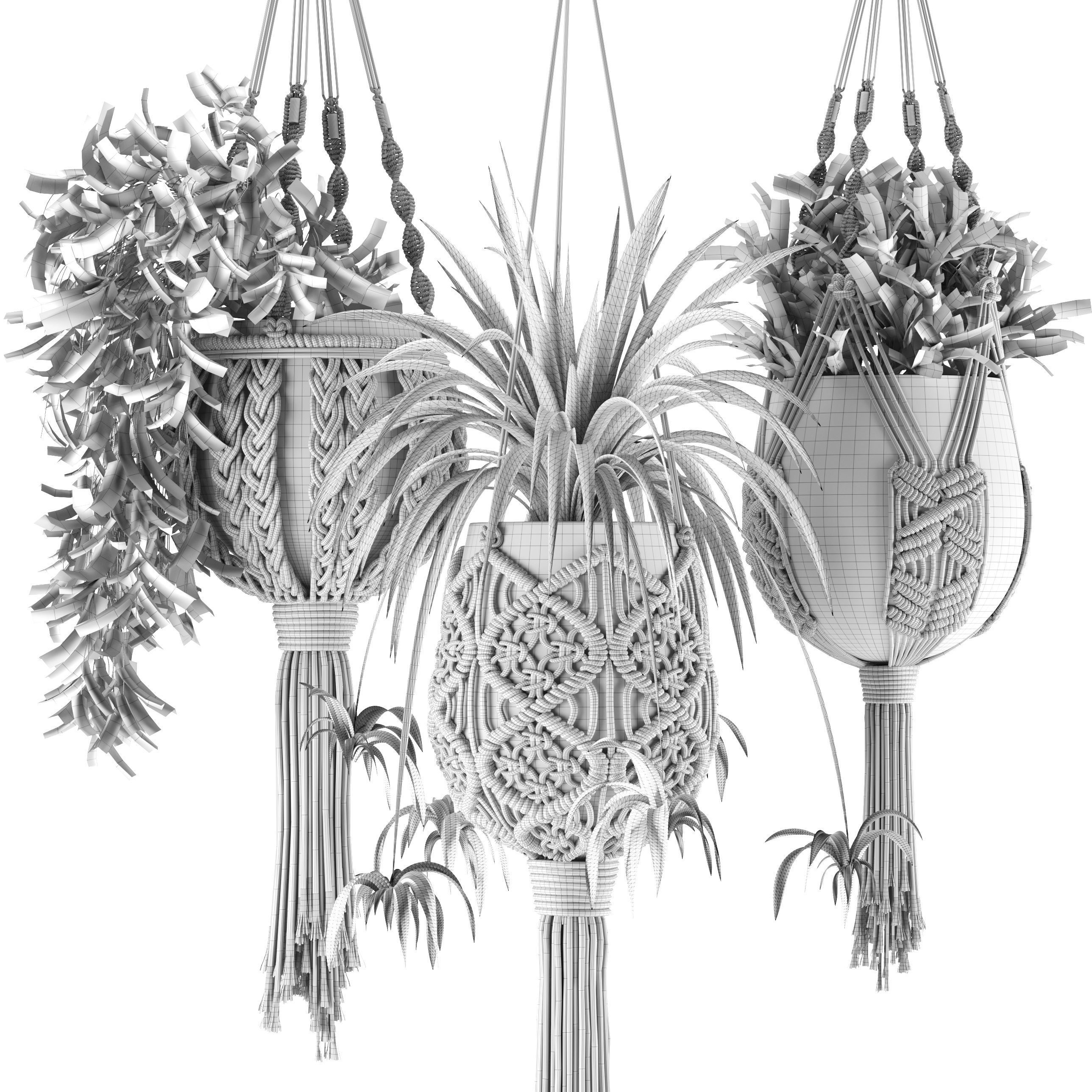 Macrame Plants Hanger 3D model | CGTrader