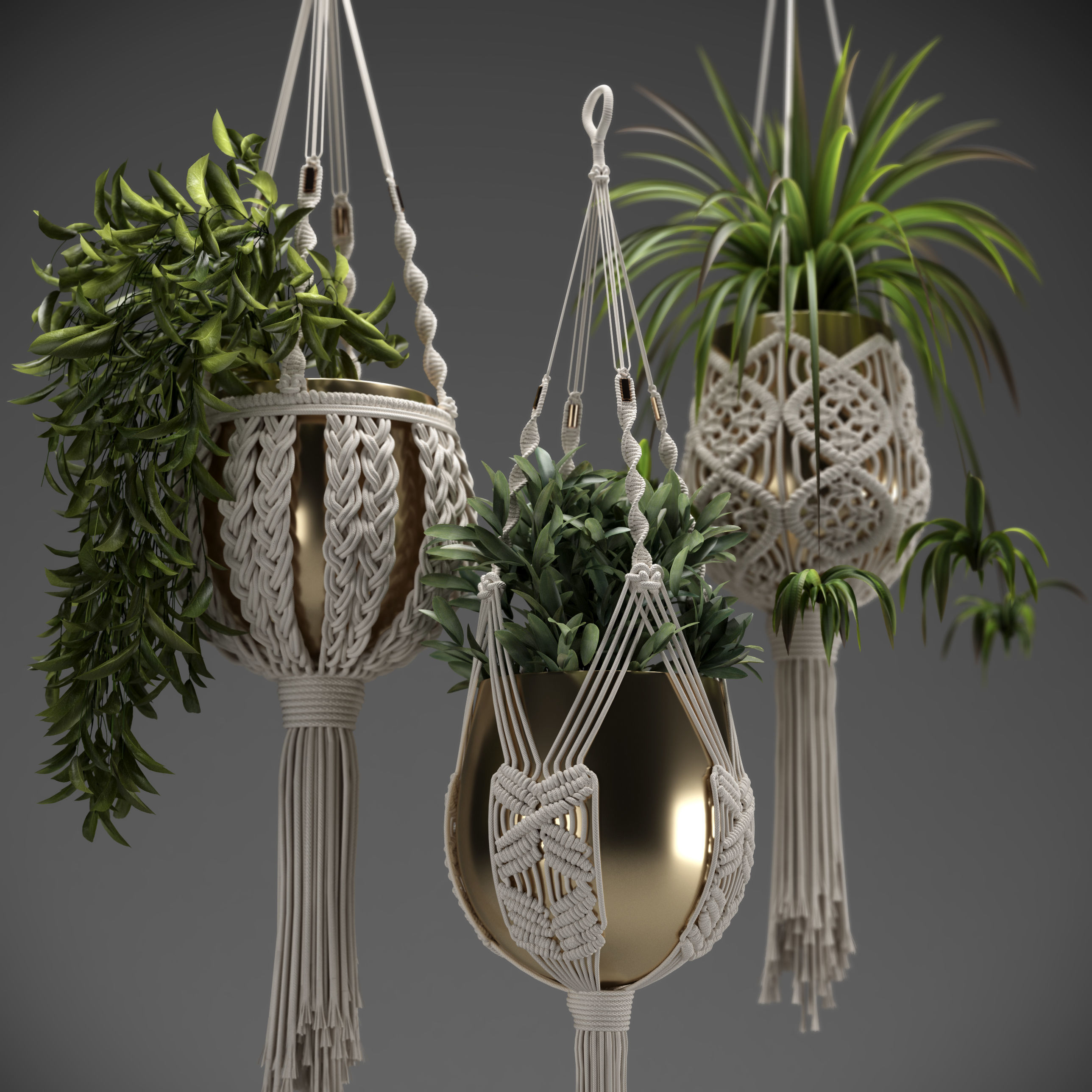 Macrame Plants Hanger 3D model | CGTrader