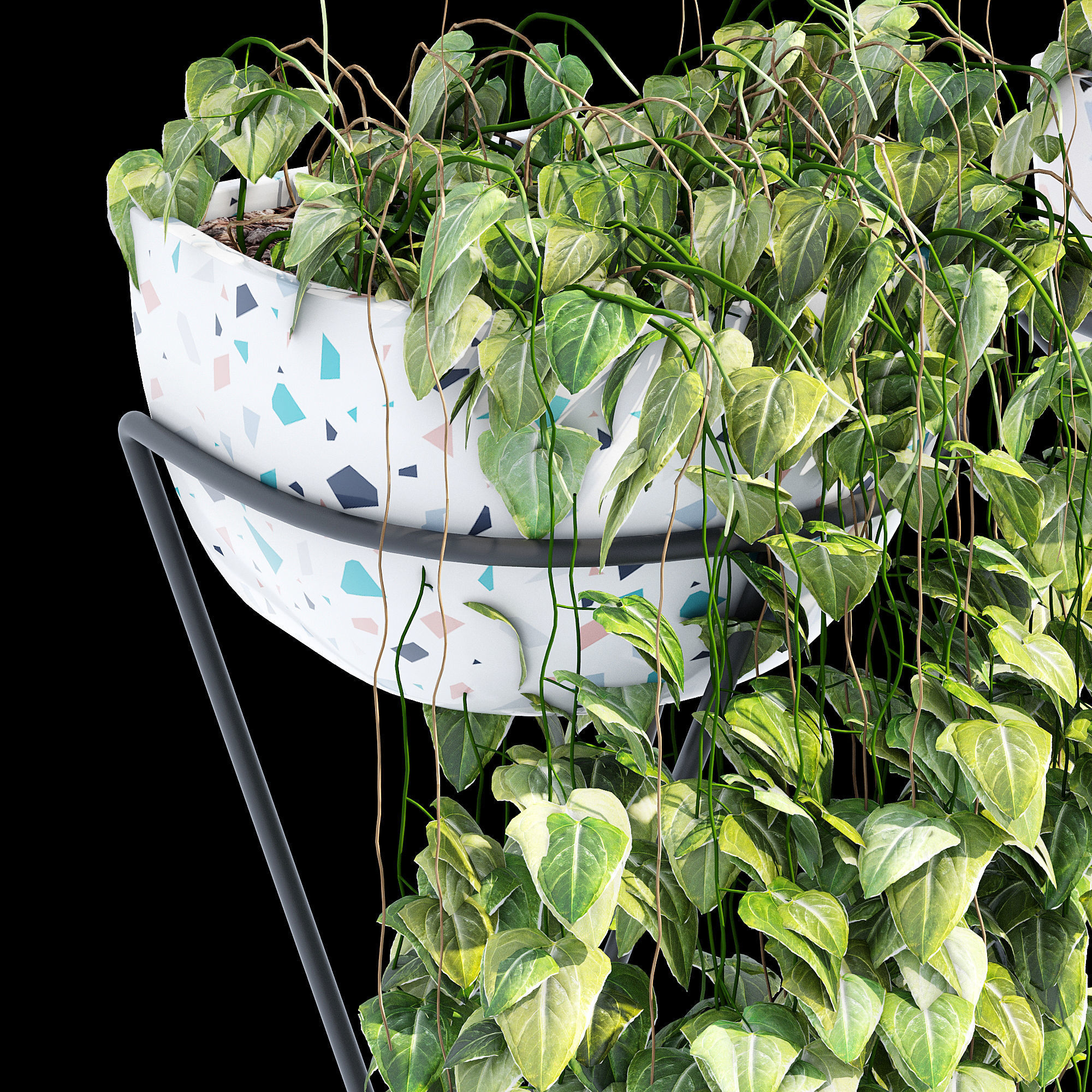 Iris cement 3D model | CGTrader