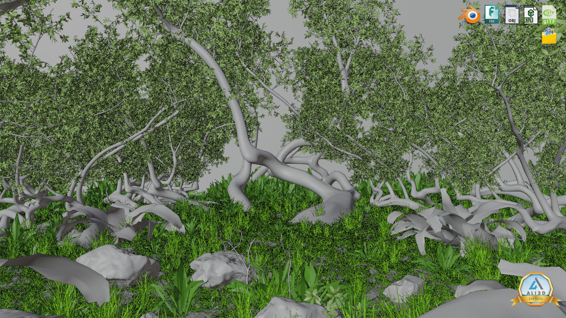 Foggy Detailed 3D Jungle Forest 3D model | CGTrader