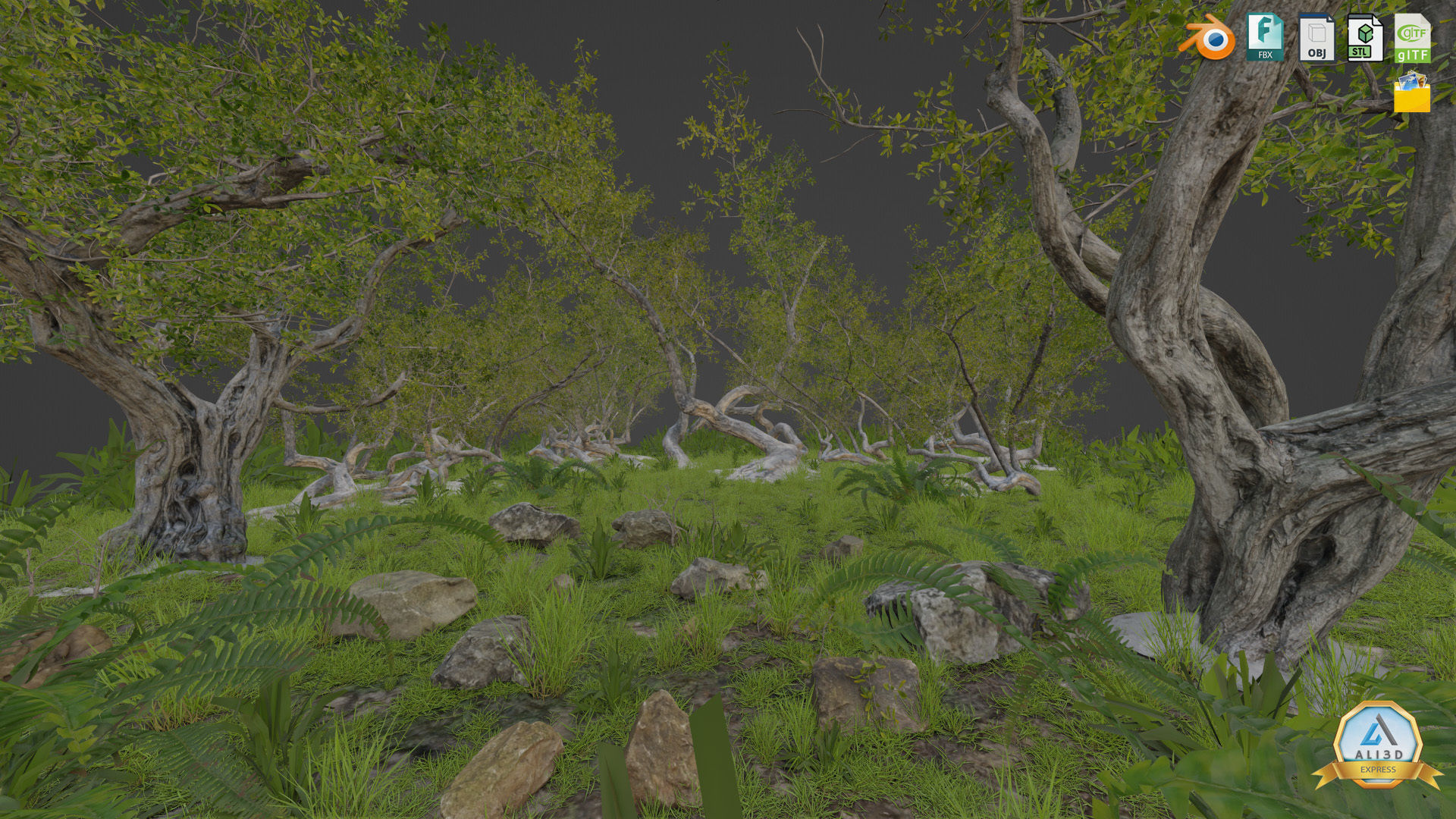 Foggy Detailed 3D Jungle Forest 3D model | CGTrader
